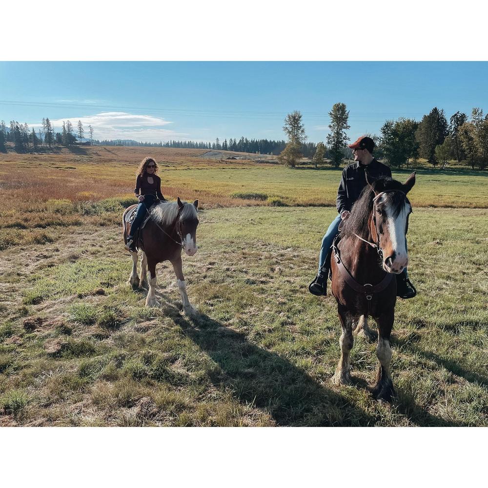 Alexis Pinney and Vincent Dreussi's Wedding Website