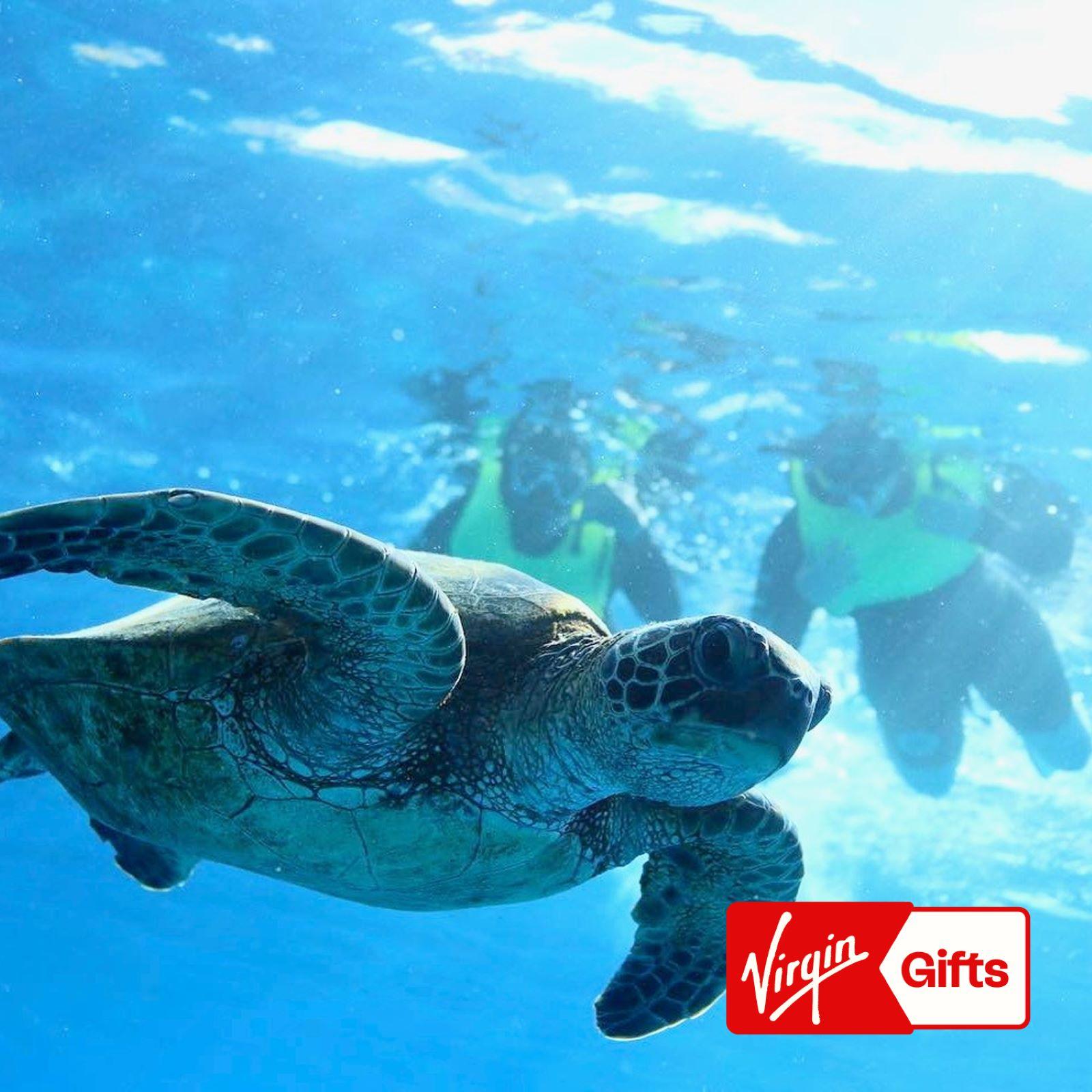 Virgin Gifts, Turtle Canyon Snorkel and Sail for 2 - Hawaii | Zola