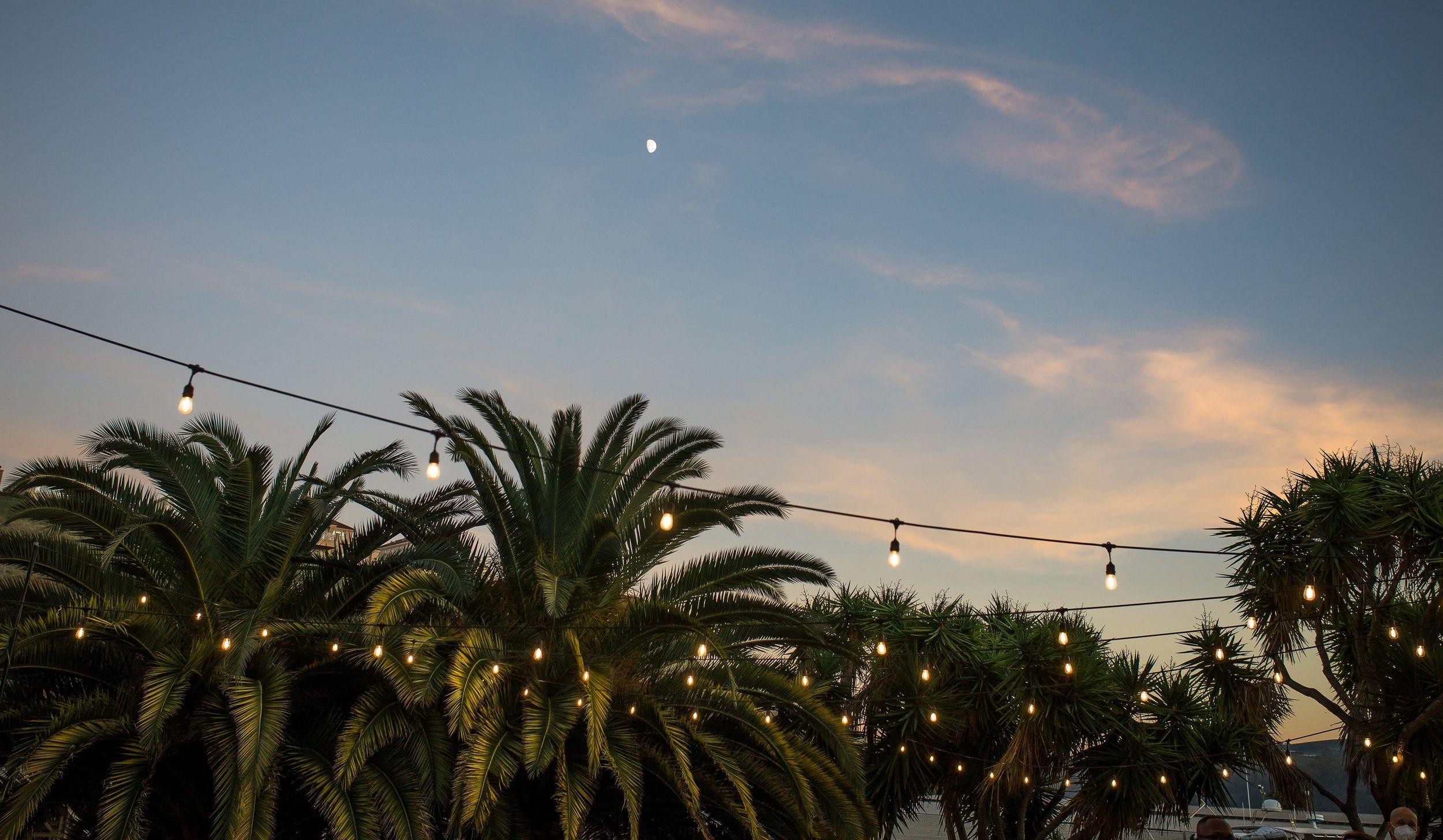 Stacey Benoit and Pravinesh Chand's Wedding Website