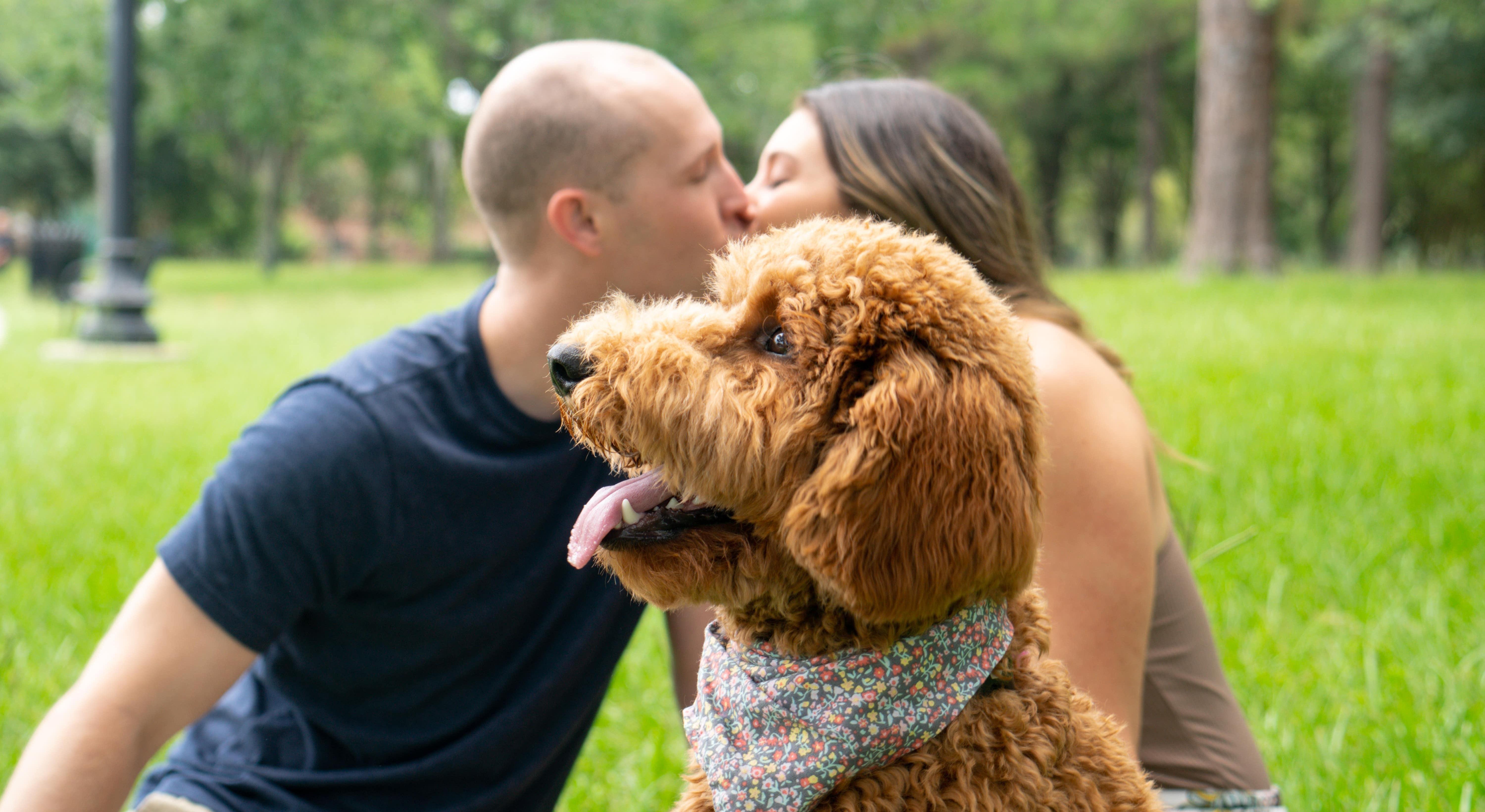 Marissa Frangione and Kevin Niles' Wedding Website