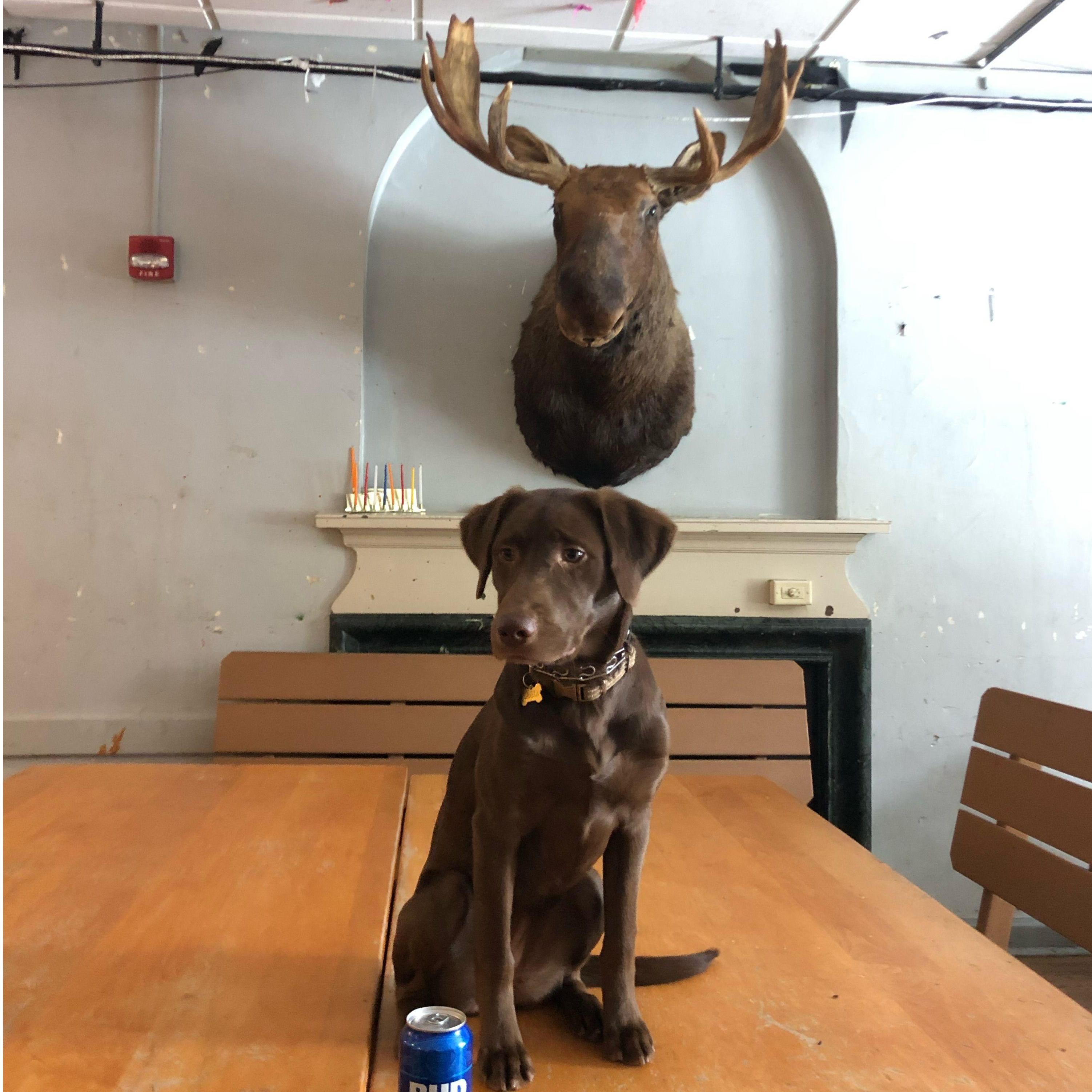 Angela Ellison and Andrew Prieto's Wedding Website