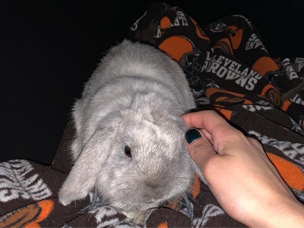 Diana Giraldo and Tim Rutti's Wedding Website