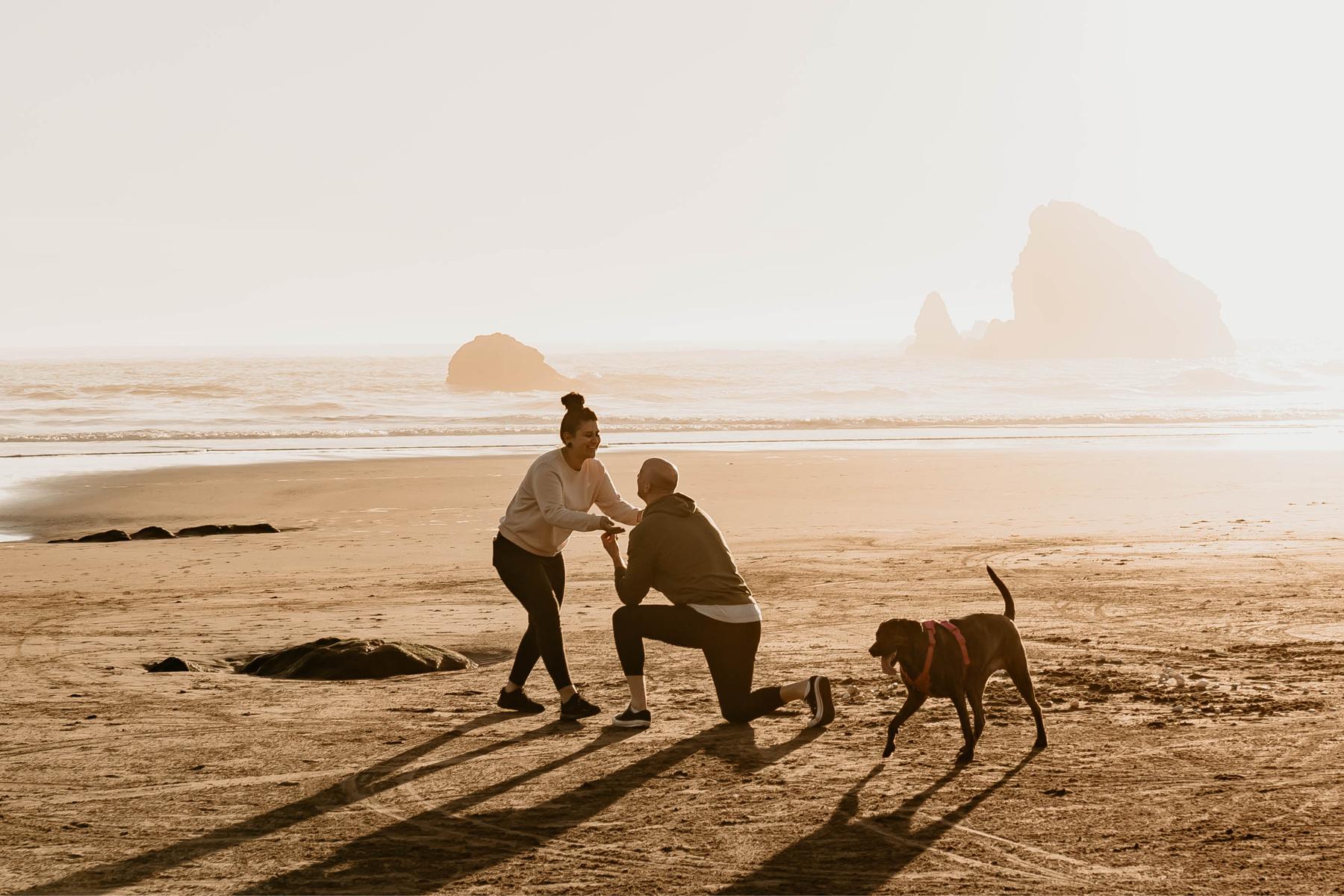 Sofia Marin and Mark Metzler's Wedding Website