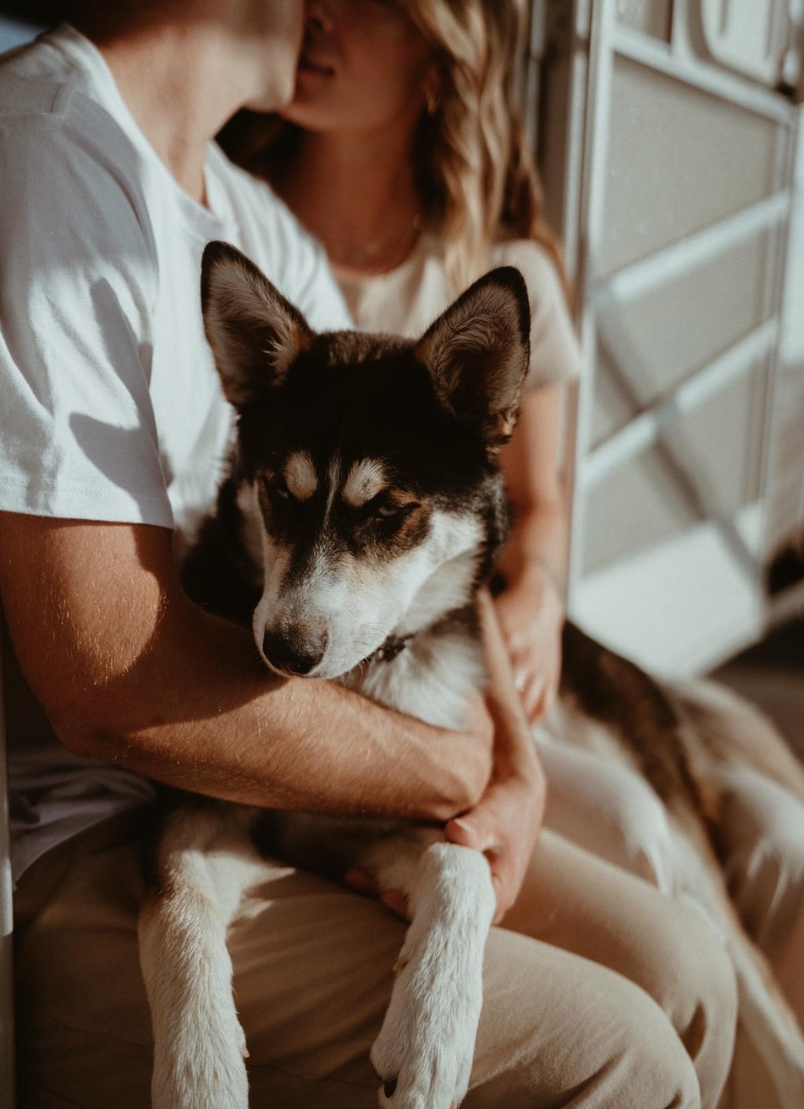 Faith Smith and Jake Hauser's Wedding Website