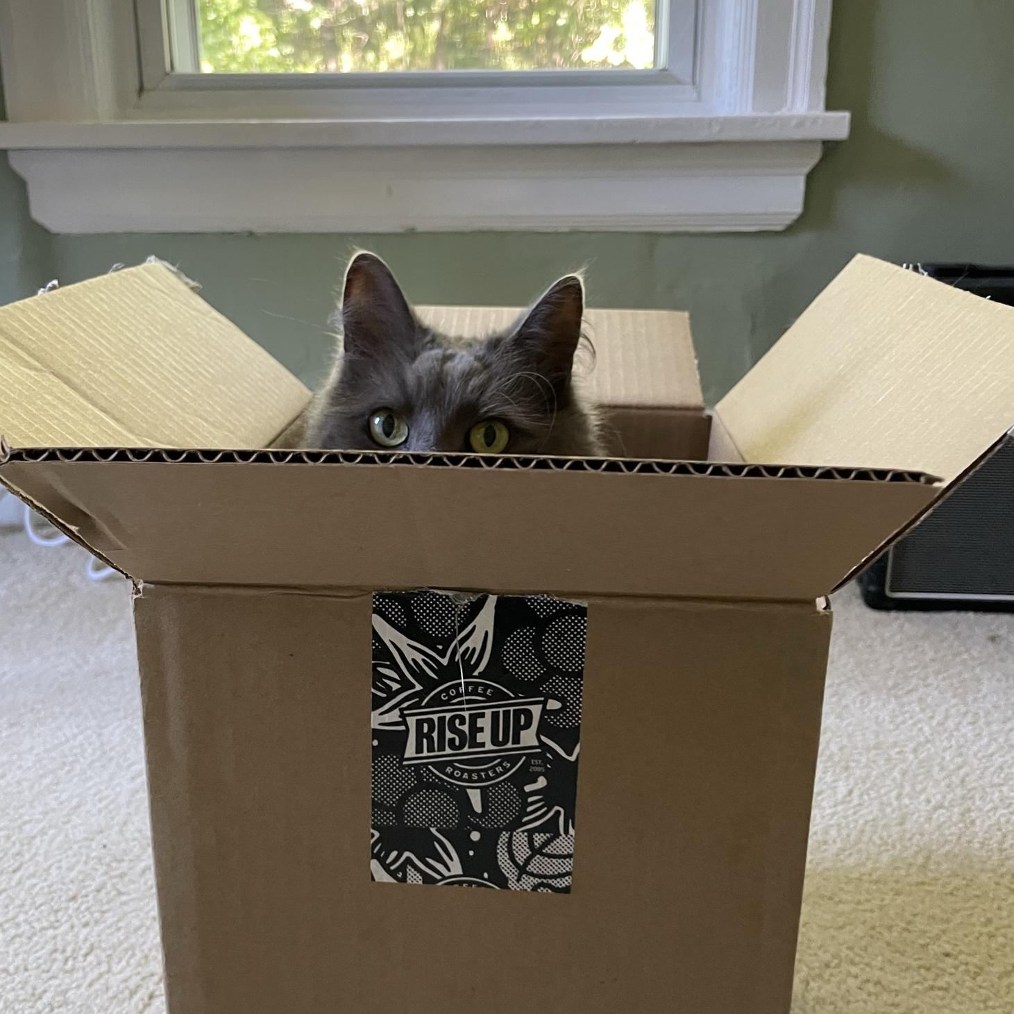 Sarah Bogan and Josh Moskowitz's Wedding Registry on Zola