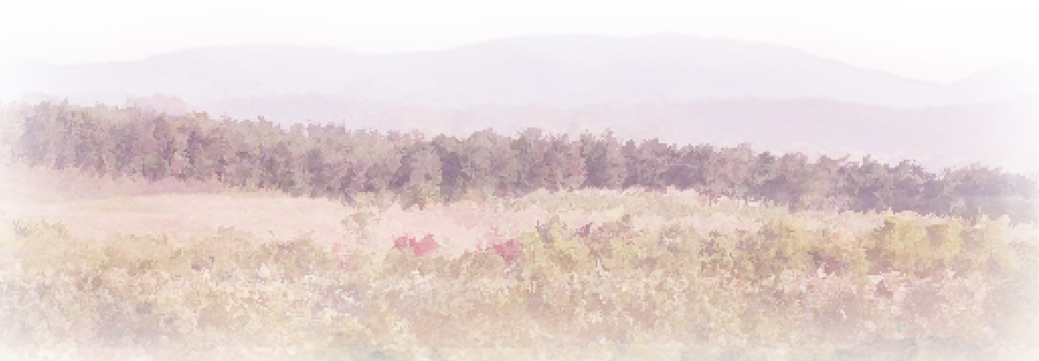 Ambrianna Koerner and Daniel Koerner's Wedding Website