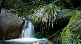 virginia bannister and billy lewis' Wedding Website