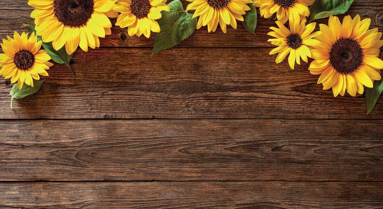 Kristine Rogers and David Balliet's Wedding Website