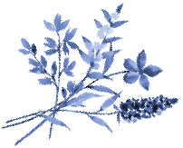 Madison Ricci and Shawn MacBurnie's Wedding Website