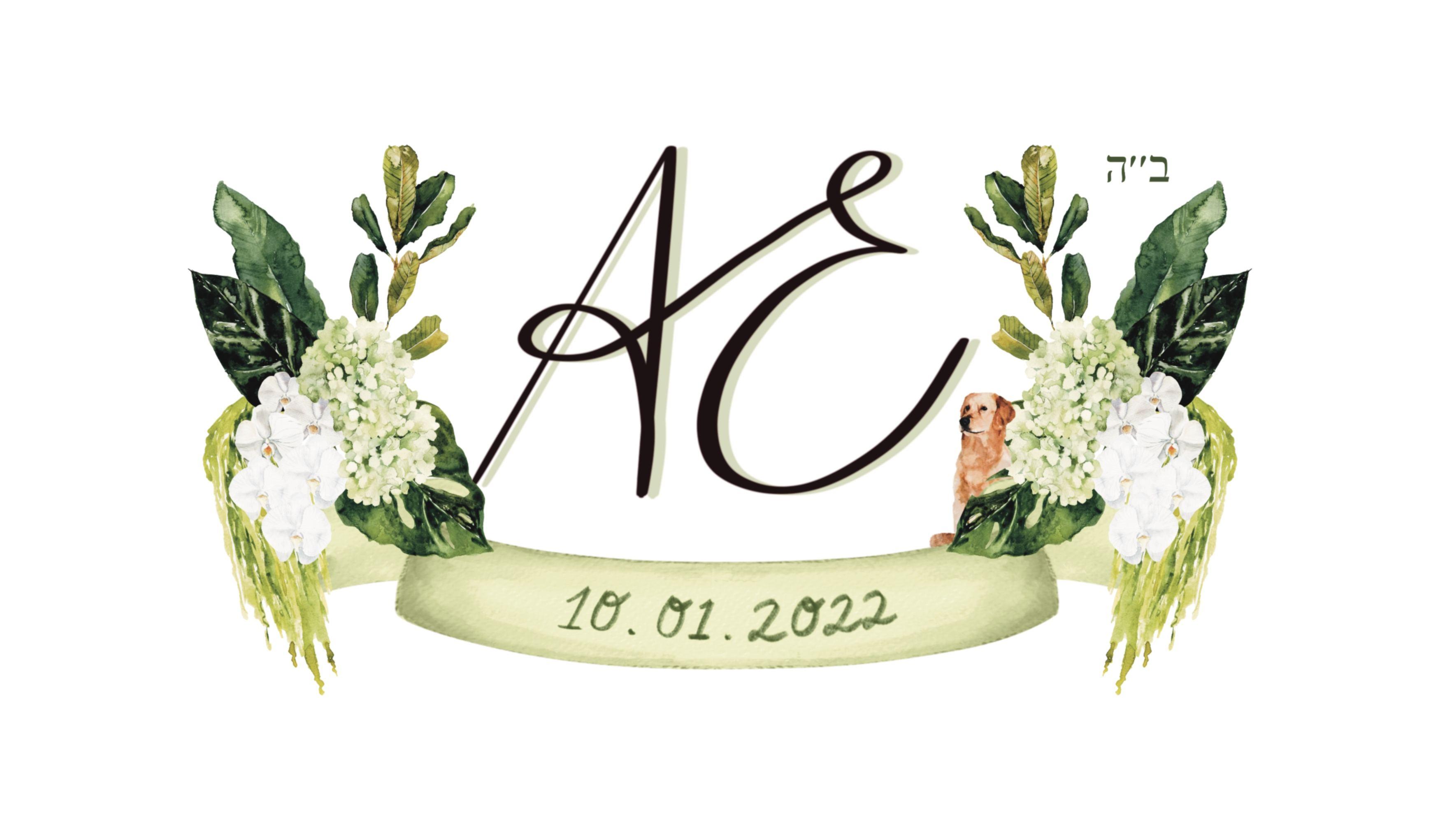 Emily Perlstein and Aria Pournazarian's Wedding Website