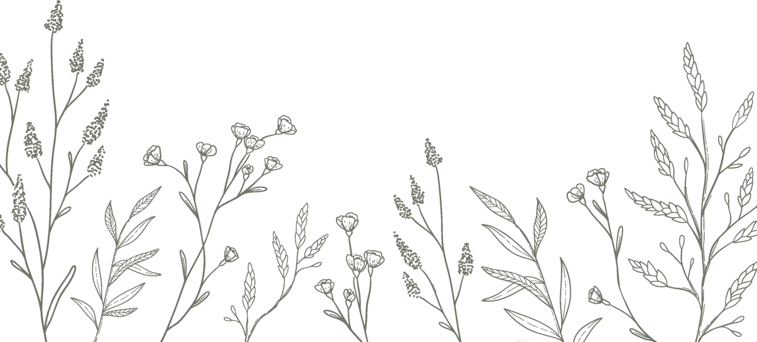 Lauren MacDonald and Robert Halgas' Wedding Website