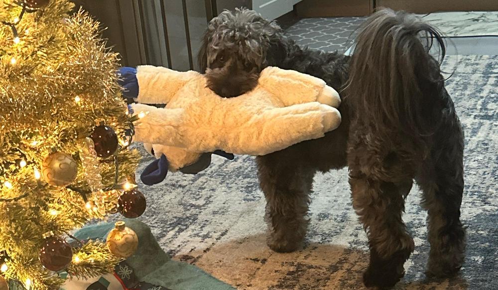 Stephanie Lopez and Joseph Soler's Wedding Website