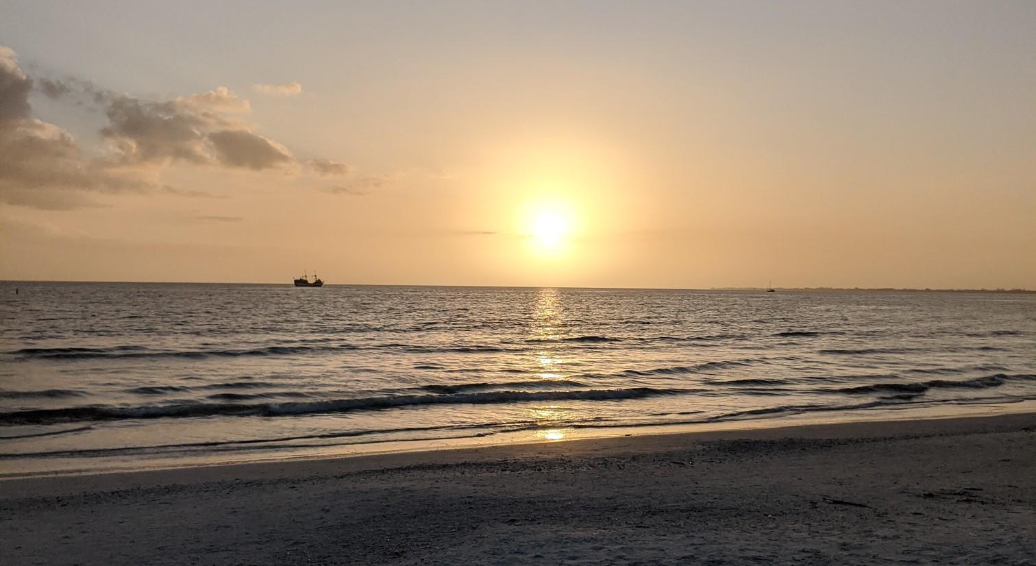 Julie Johnson-Cheesman and Barry Cheesman's Wedding Website