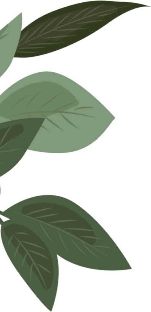 Destini Jones and Robert Sims Jr.'s Wedding Website