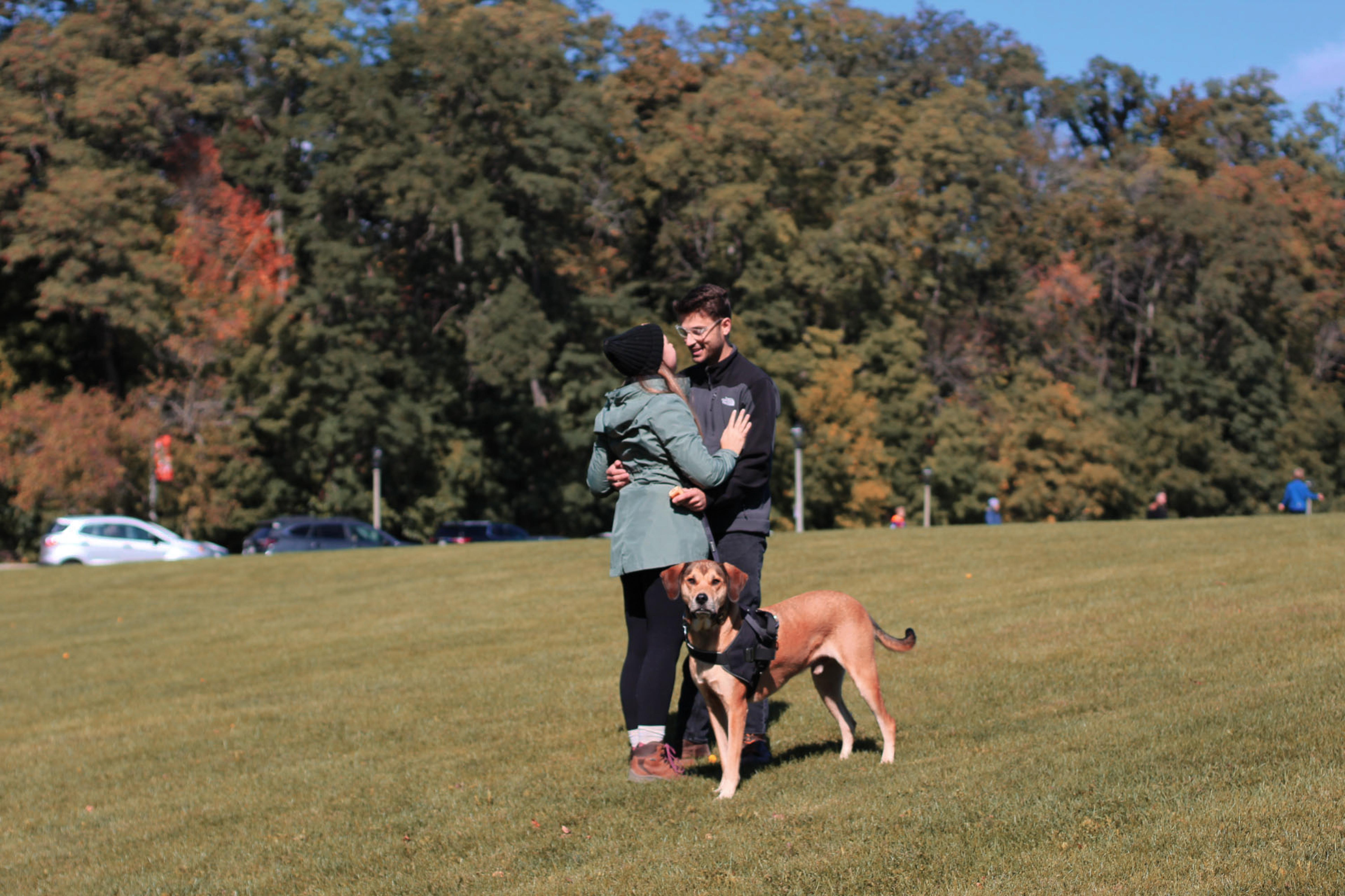 Hannah Menzel and Joe Samara's Wedding Website