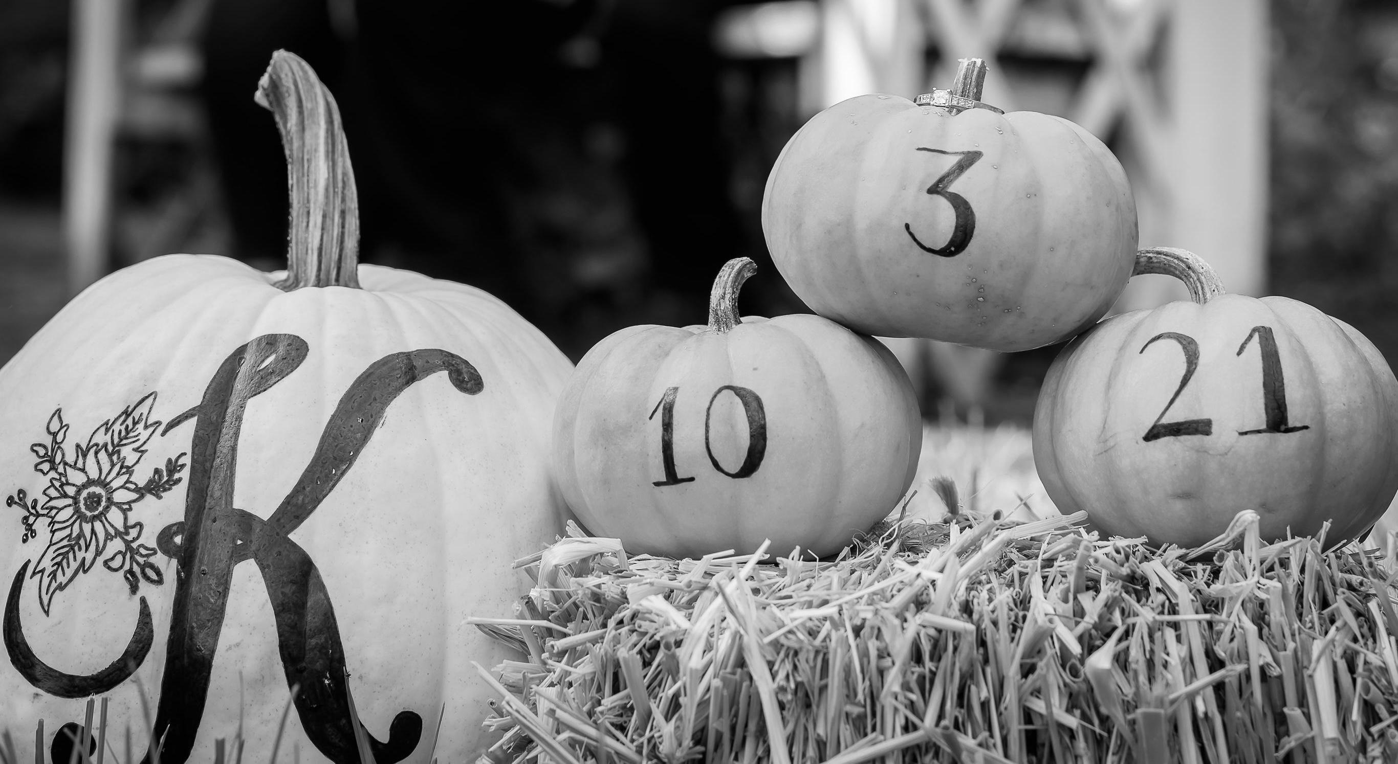 Morgan R. Keller and Christopher J. Kelly's Wedding Website