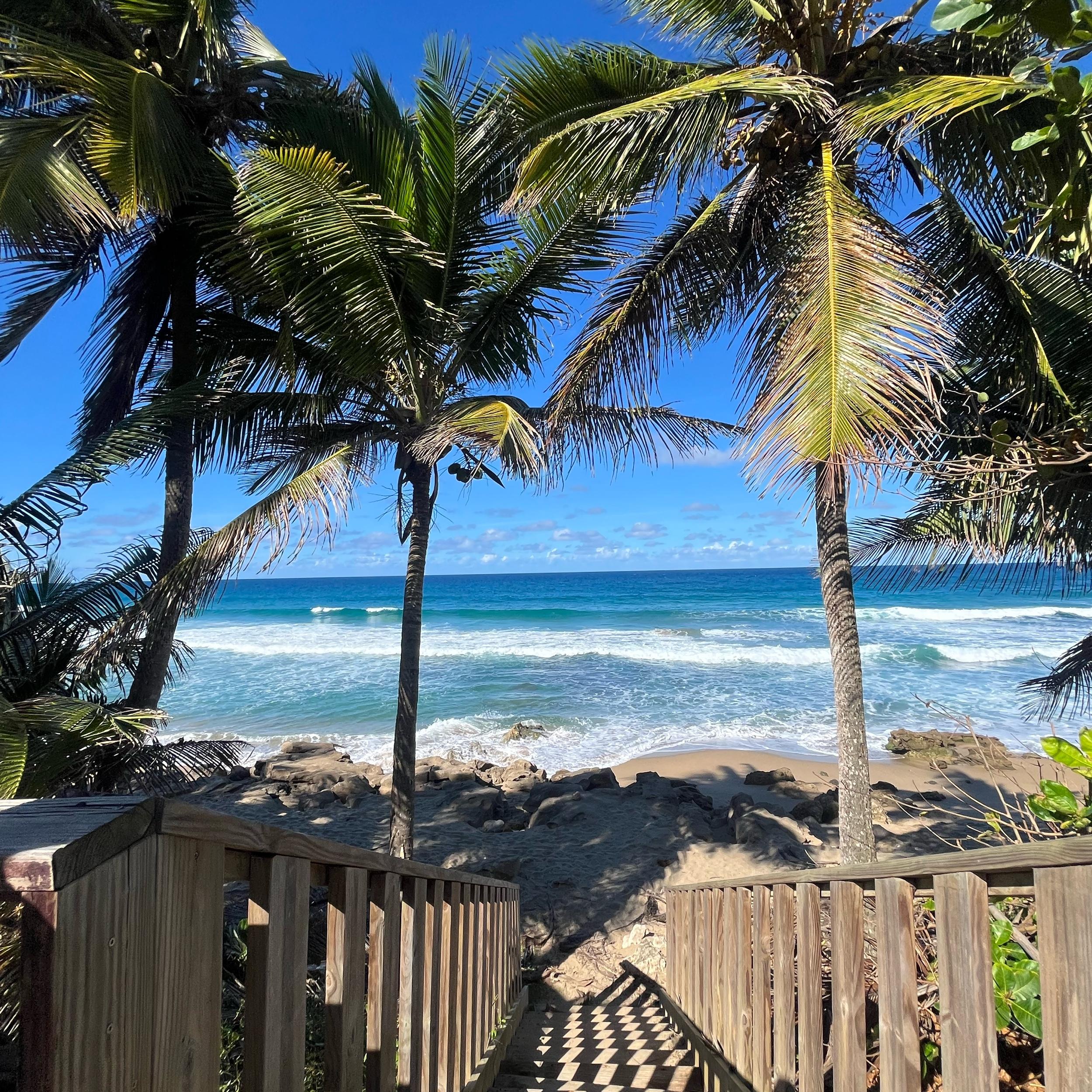 Natalia Valentín Díaz and Conner Beswick's Wedding Registry on Zola