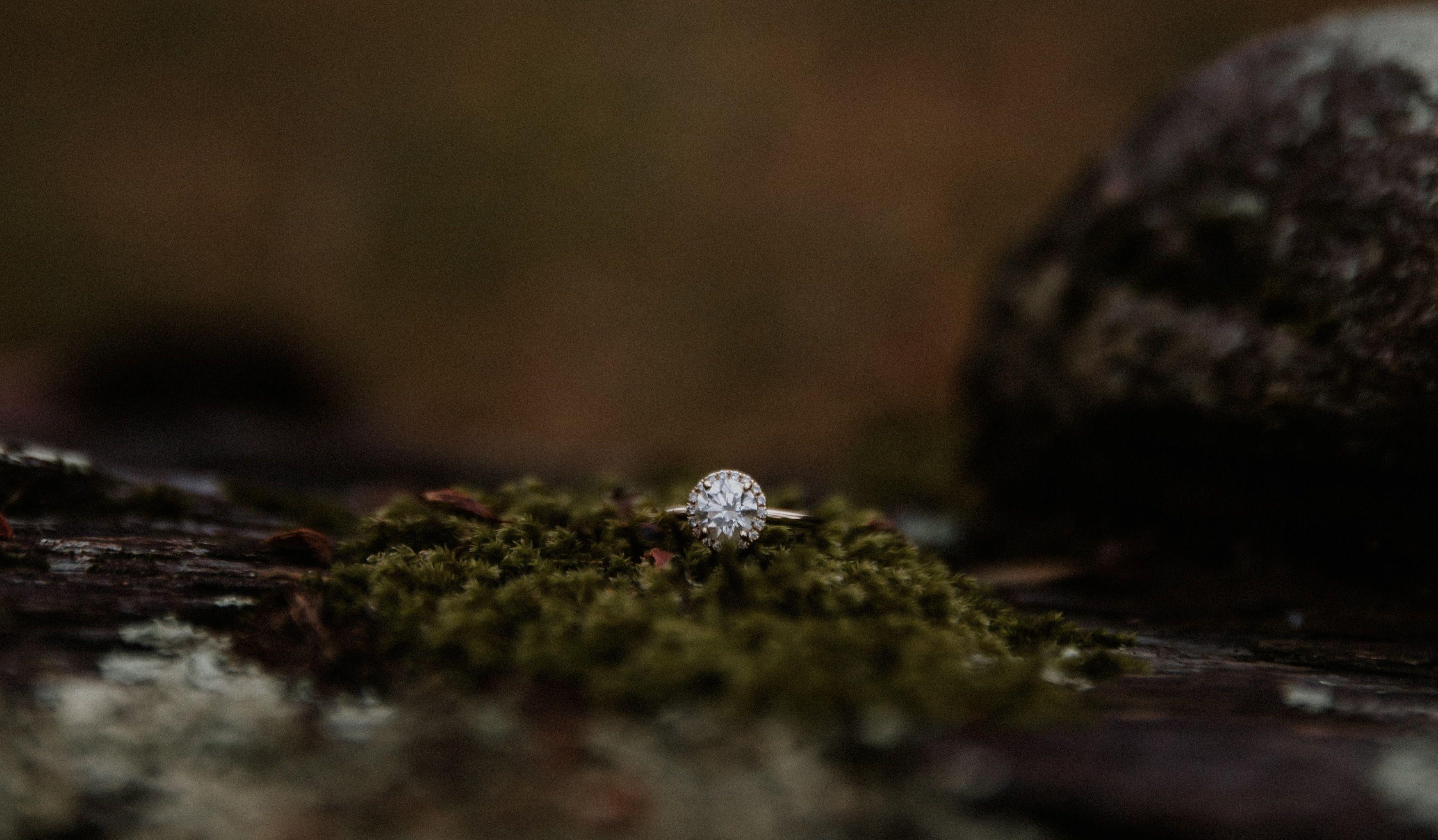 Sierra Nutting and Isaac Firkey's Wedding Website