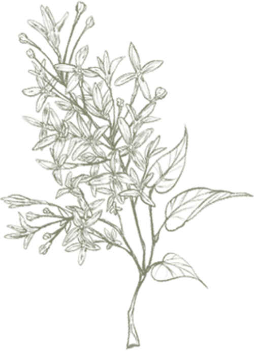 Ally Croll and Connor Murphy's Wedding Website