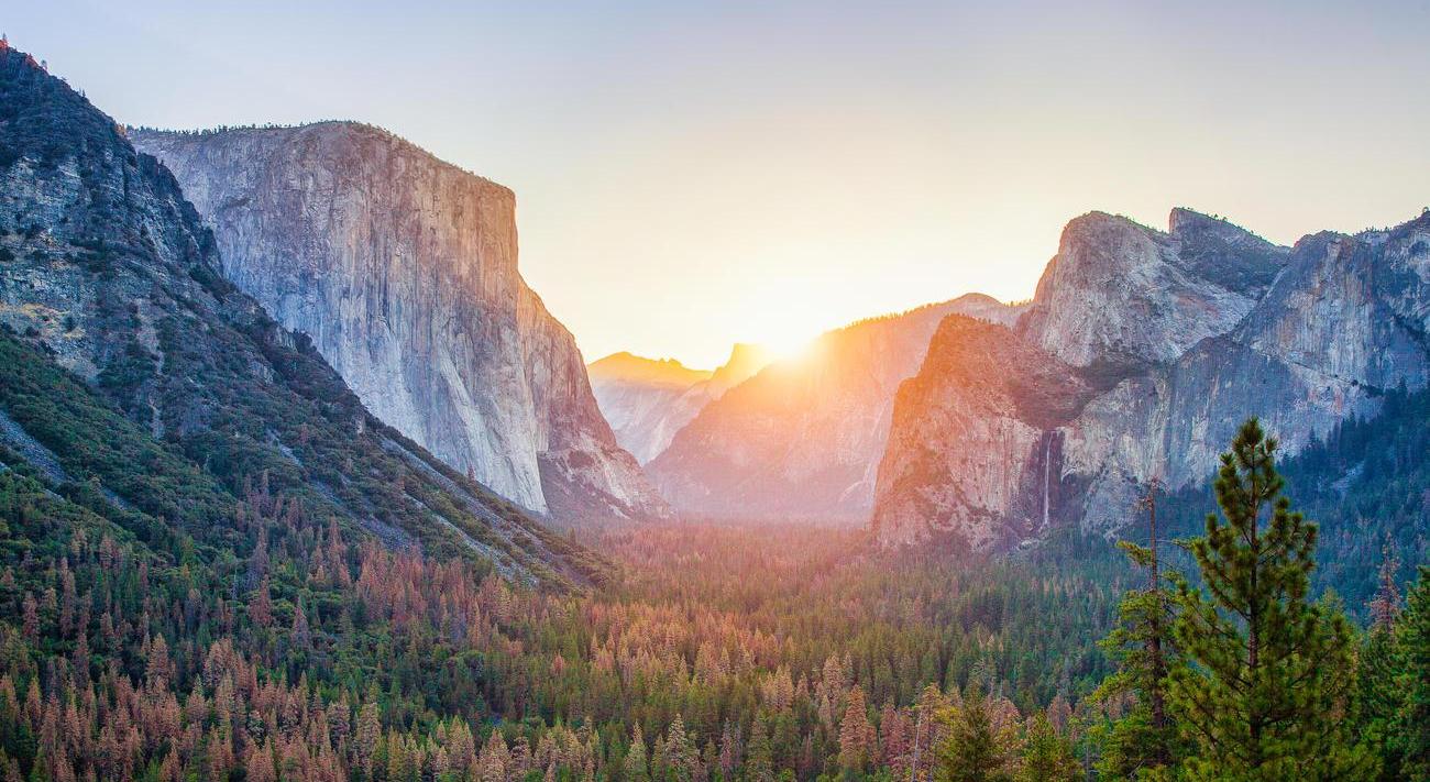 Whitney Yeager and Carlin Fields' Wedding Website