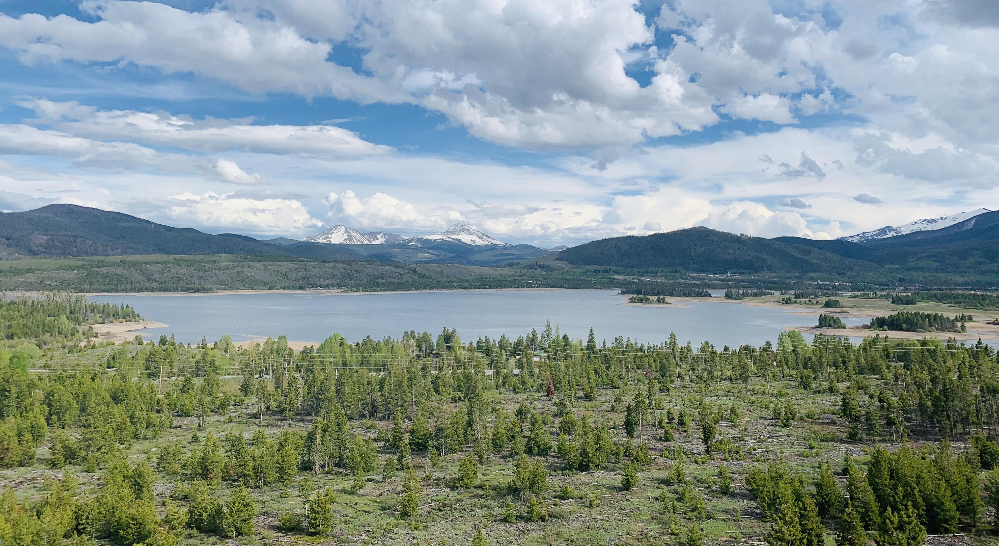 Alexis Corona and Mark Barnes' Wedding Website