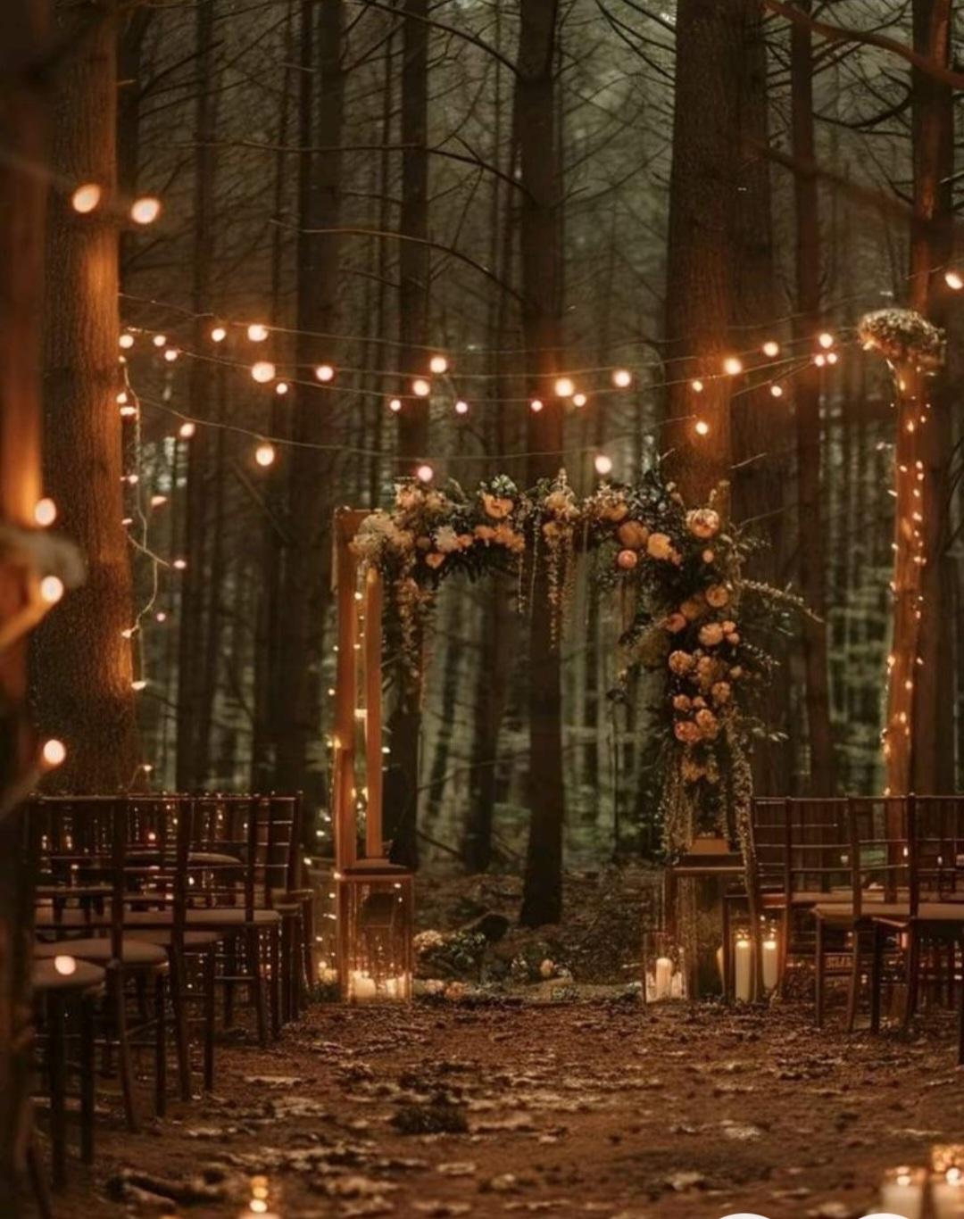 Jessica Knight and Zachary Mortara's Wedding Website