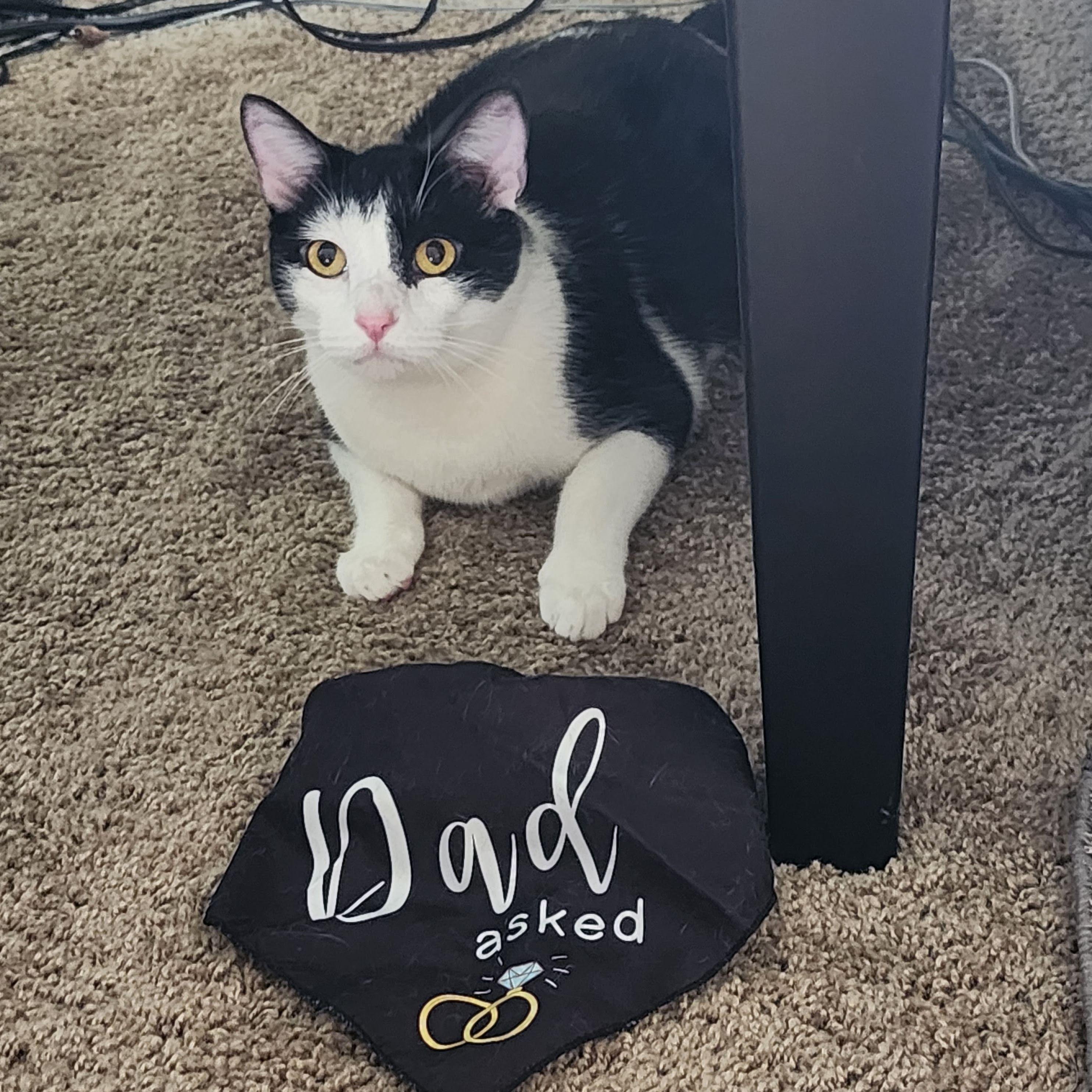 Grace Shipman and Trevor Shipman's Wedding Website