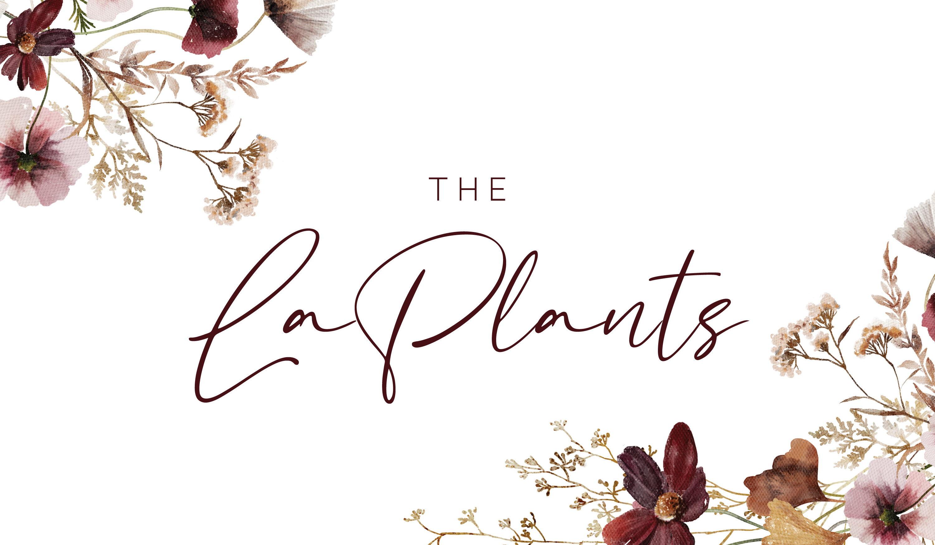 Lisa DeNovio and Dan LaPlant's Wedding Website