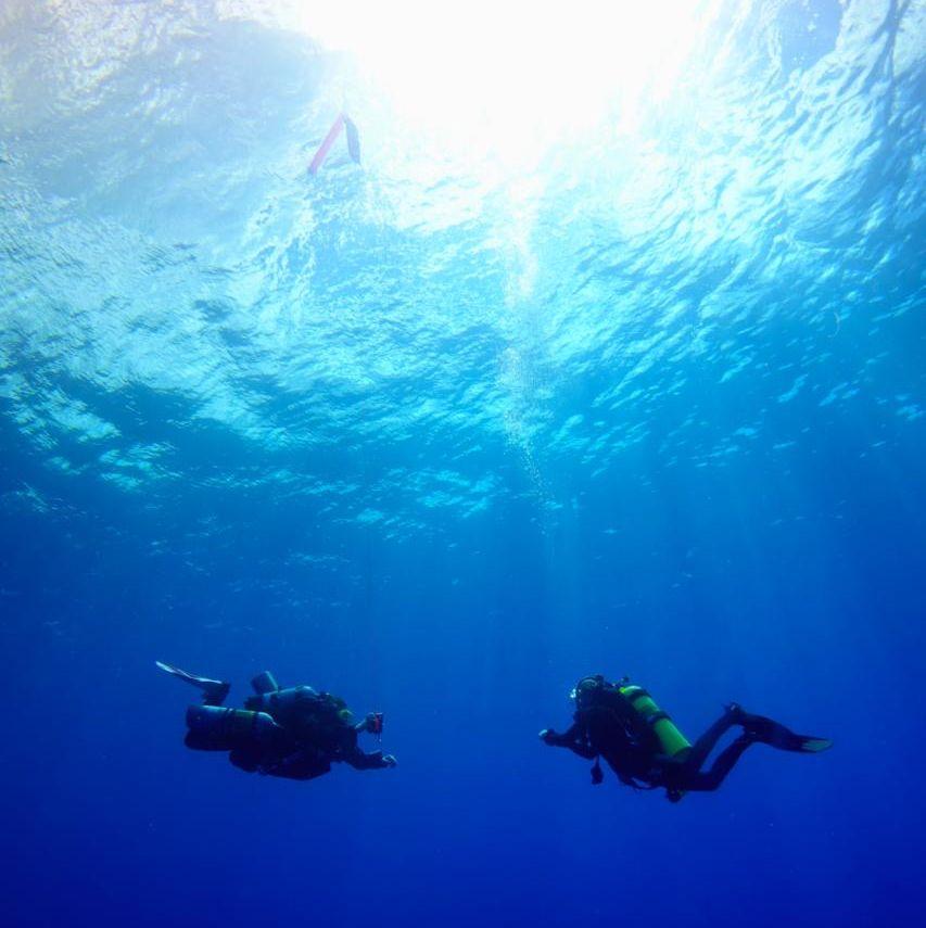 Caroline Jahn and Mikey Kent's Wedding Website