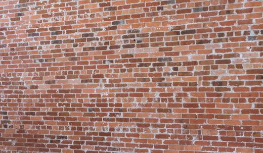 lauren smith and hunter meeks' Wedding Website