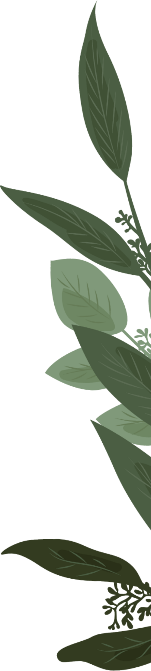 Sarah Vande Hey and Henry Renn's Wedding Website