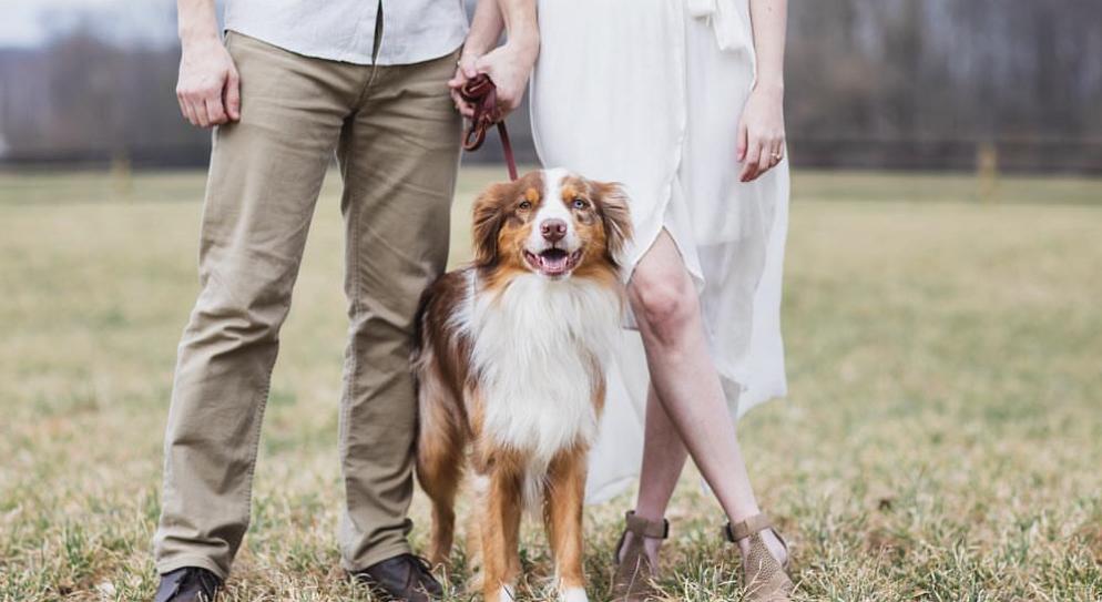 Eric McCrum and Lauren McGinnis' Wedding Website