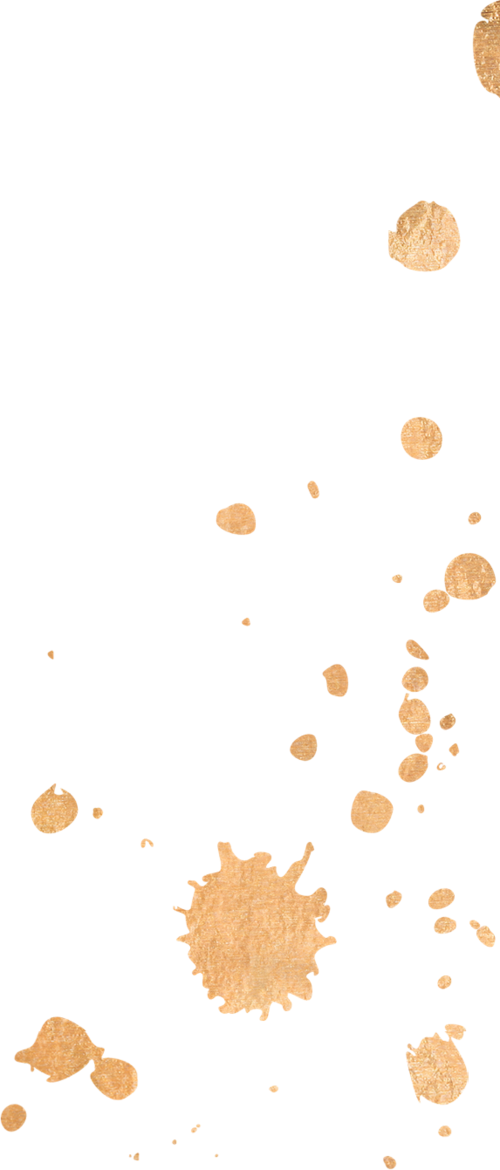 Lizzie White and Phil Quaife's Wedding Website