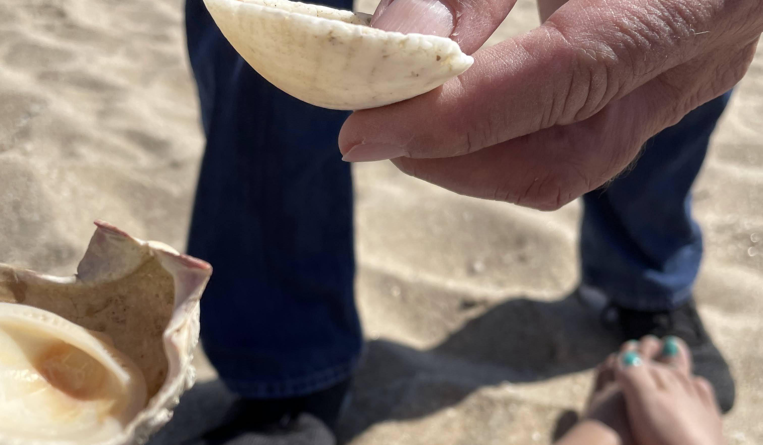 Beverley Tsosie and Alan Staffa's Wedding Website