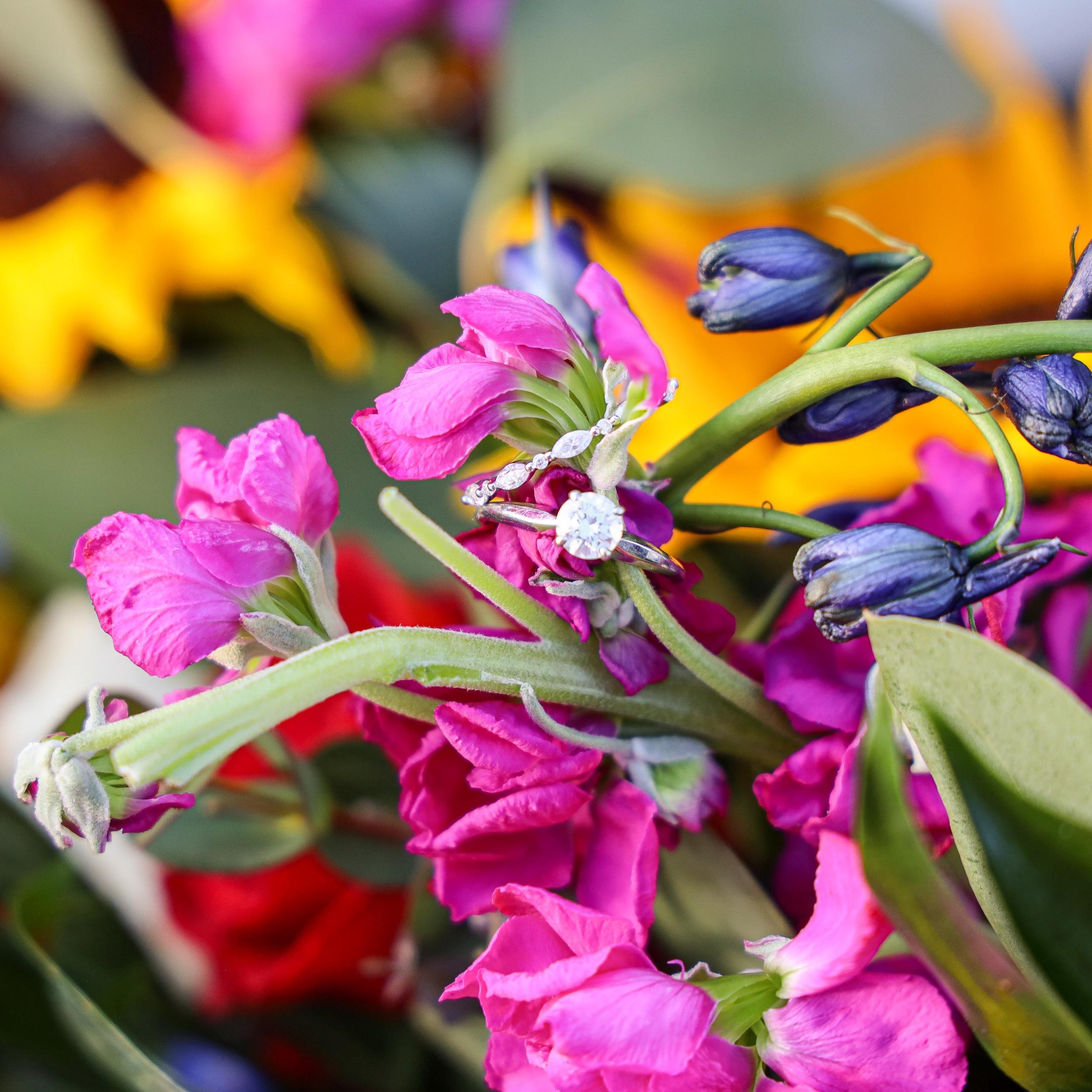 Lindsey Tew and Christopher Lewis' Wedding Website