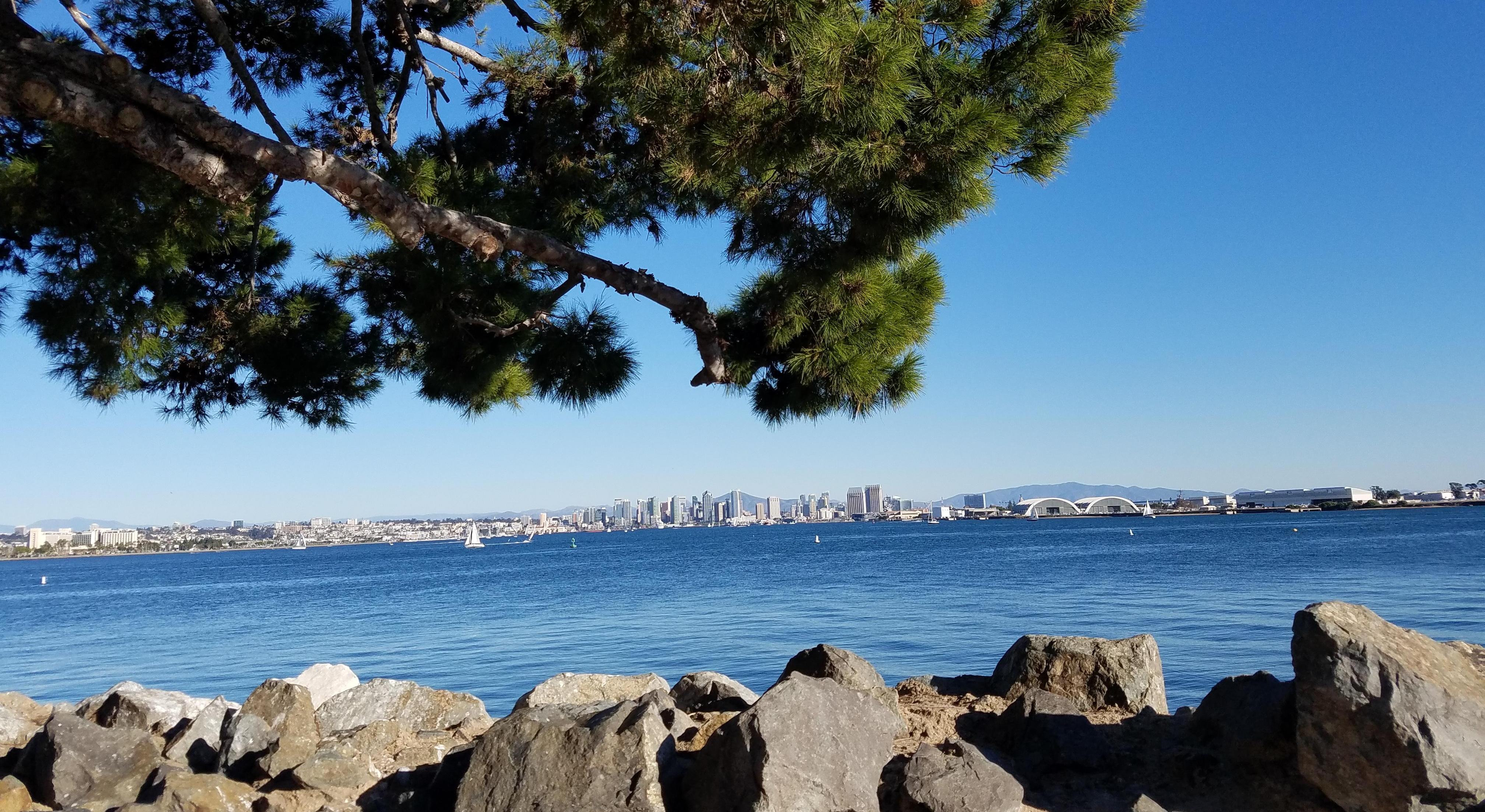 JOSHUA HARDIN and CHRISTINE HARDIN's Wedding Website