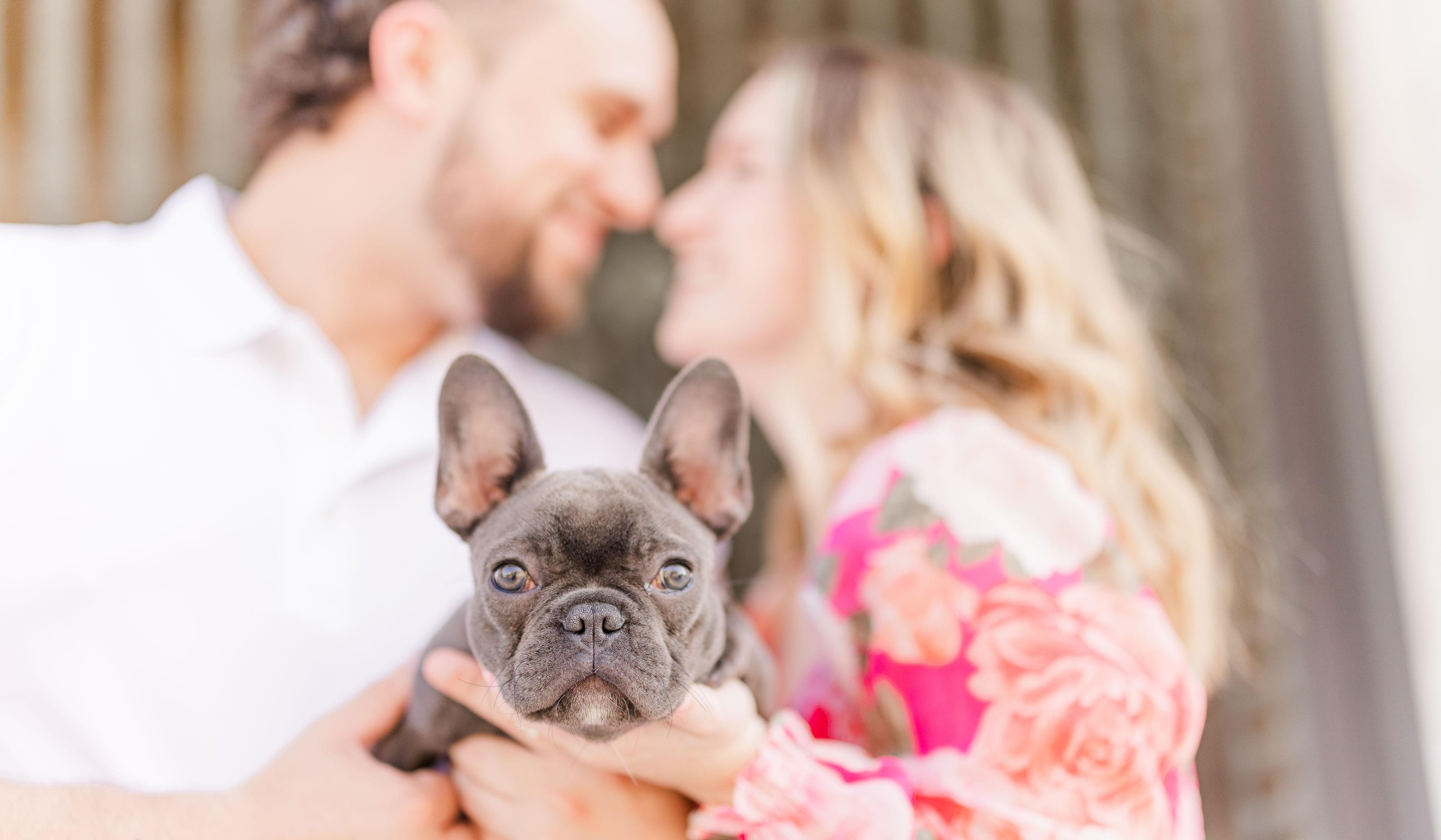 Markie Campbell and Chase Ballard's Wedding Website