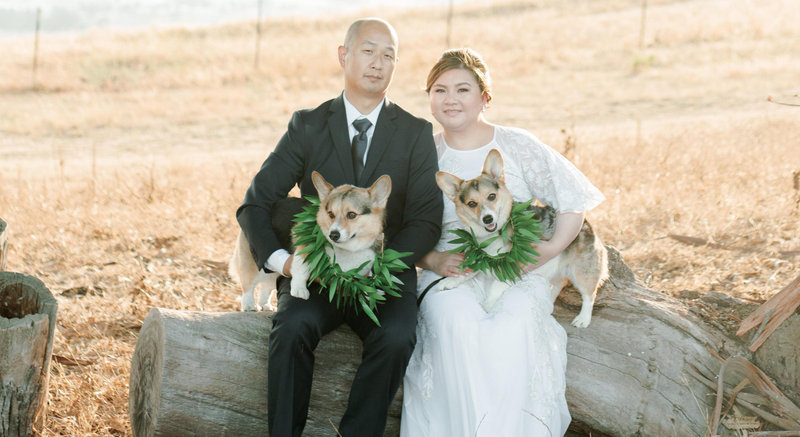 Linda Liang and Edward Lew's Wedding Website
