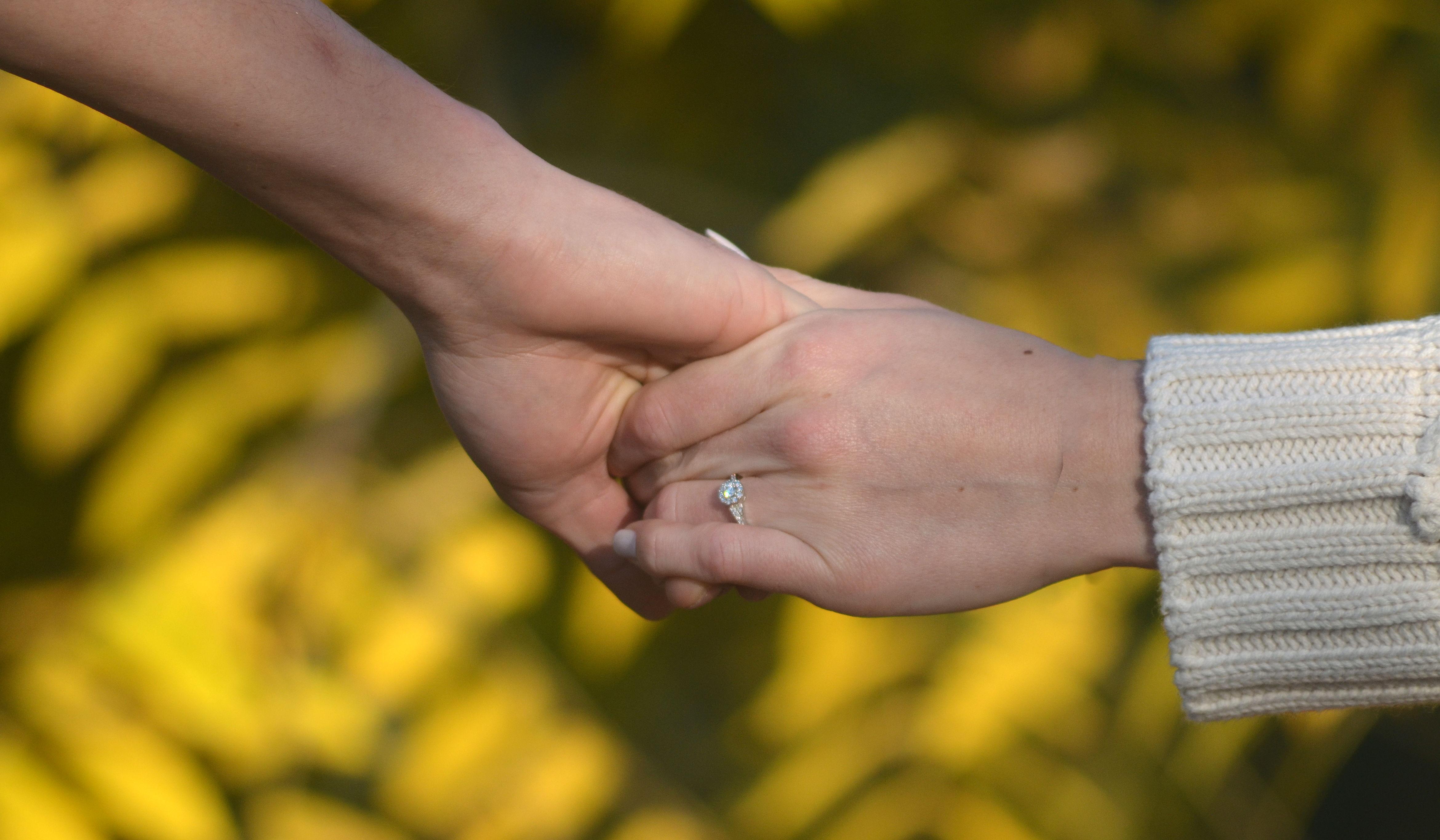 Elise Jankowski and Andrew Dimitriou's Wedding Website