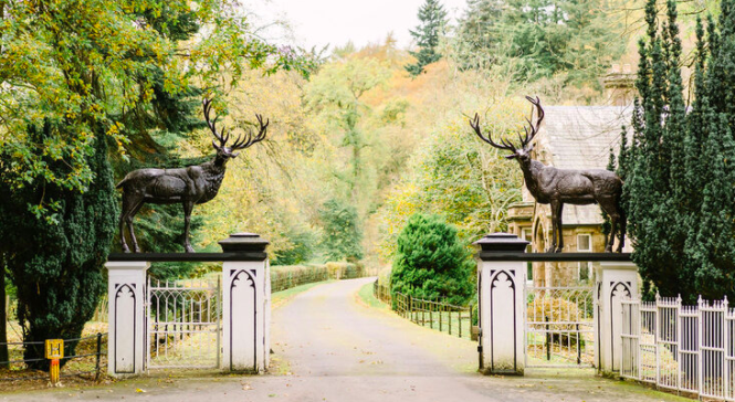 Samantha Cook and Matthew Scanlin's Wedding Website