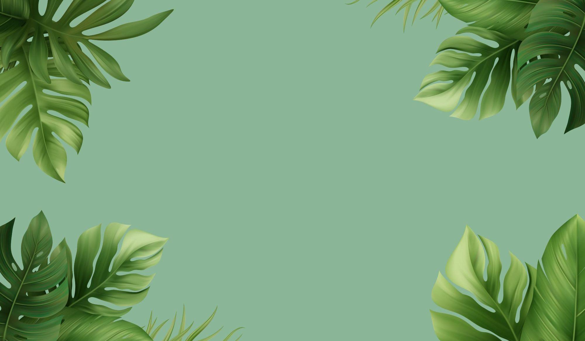 Josephine Cindy Andujar and Modesto Vargas' Wedding Website