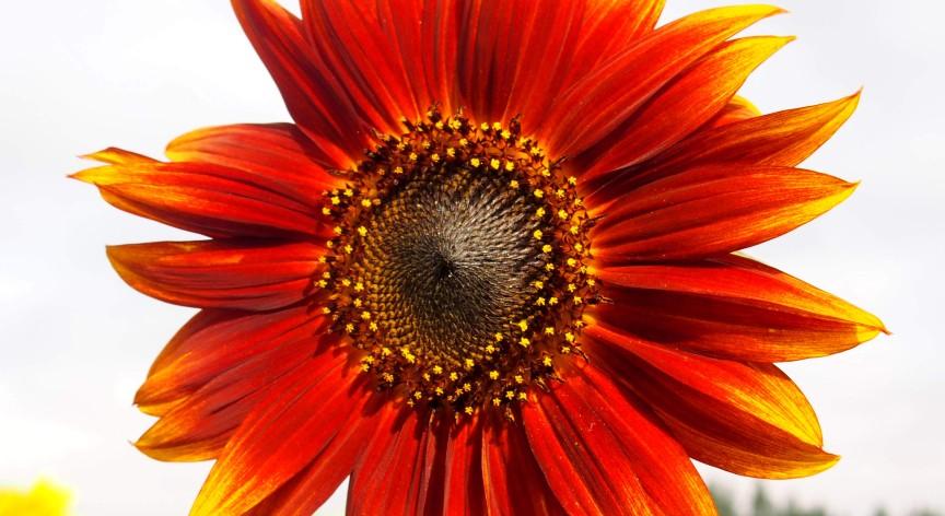 Maggie Booth and Evan Riggs' Wedding Website