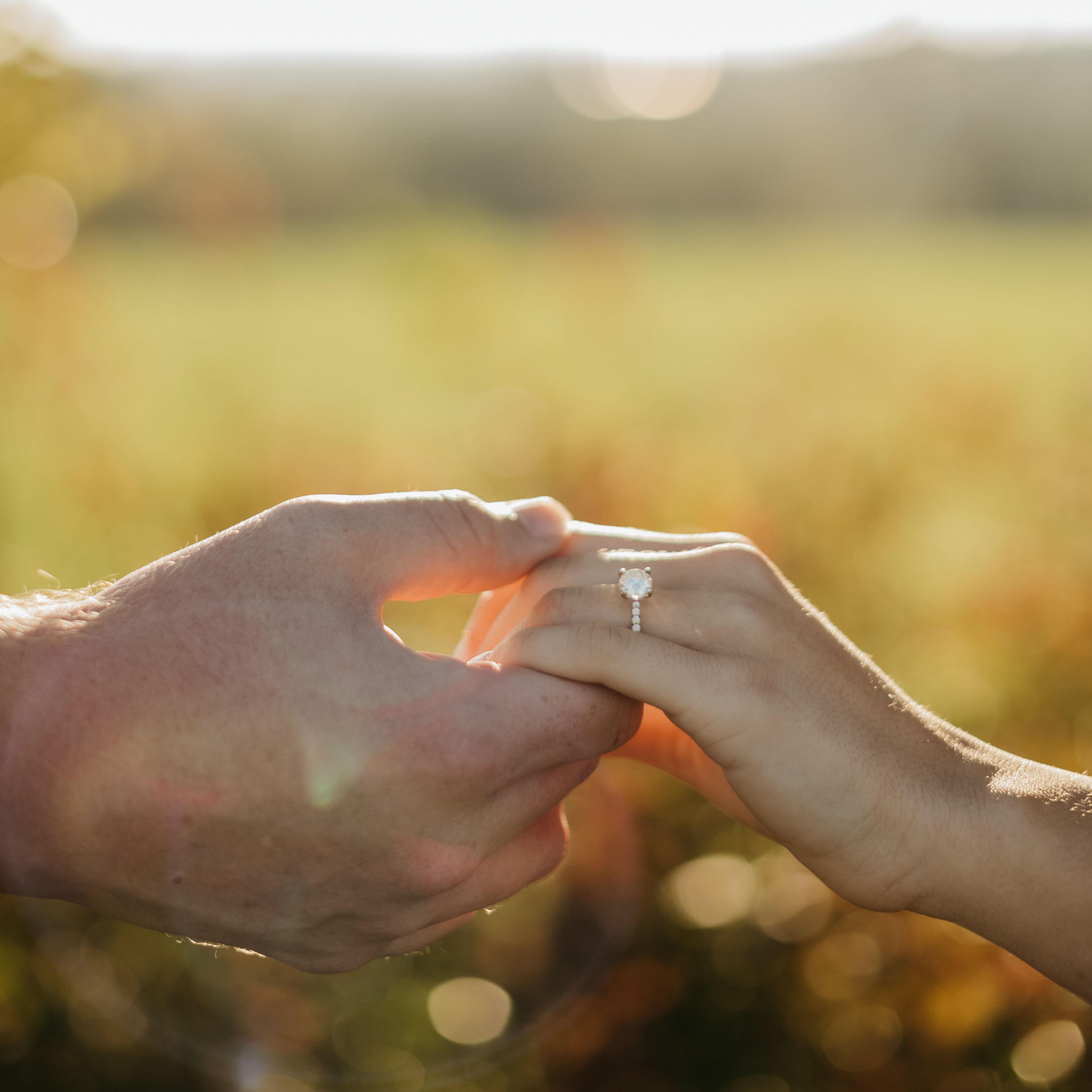 Megan Alderman and James Gosnell's Wedding Website