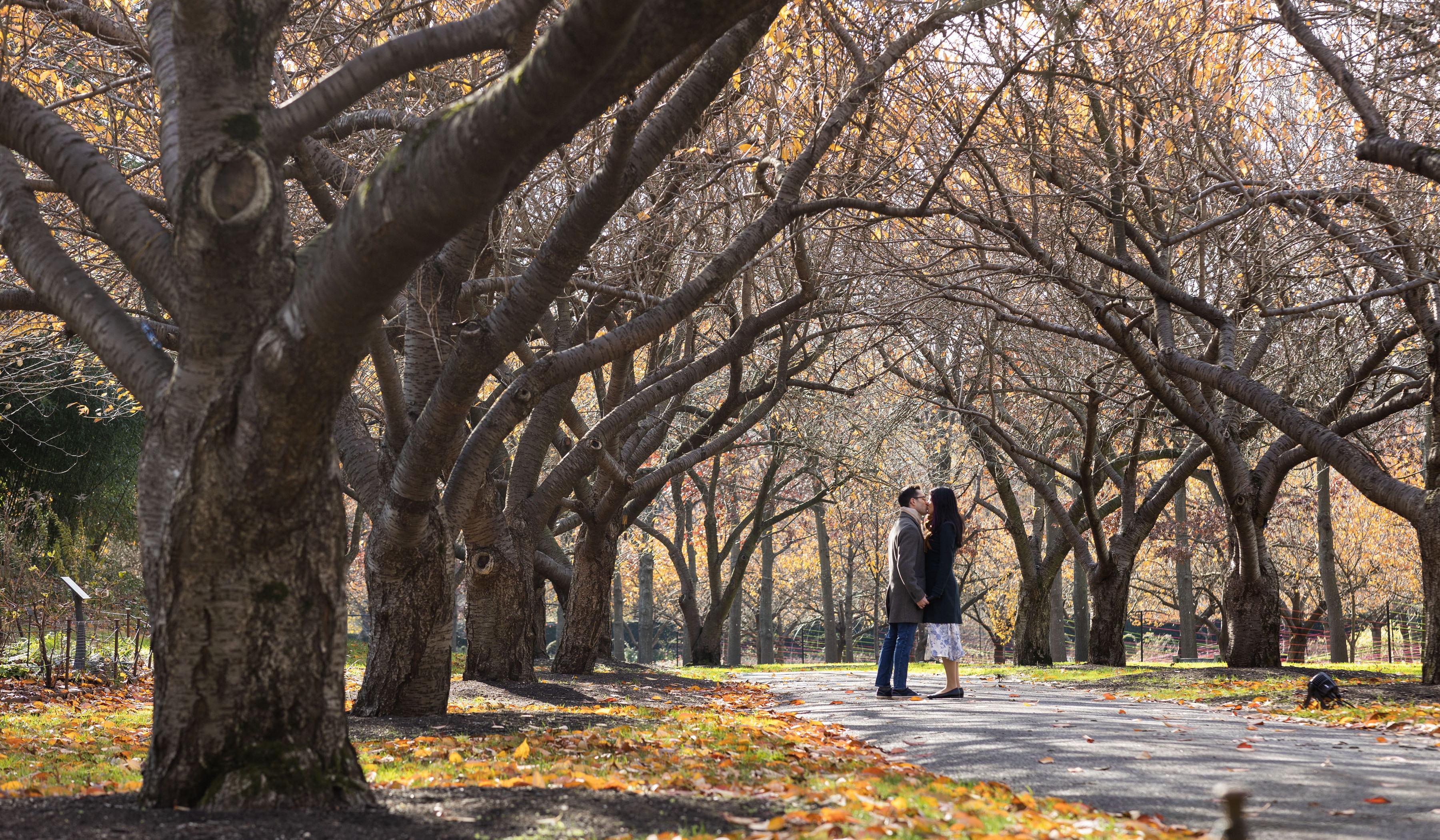 Brian Lebow and Jennifer Wu's Wedding Website