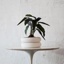 Areaware, Offer Reality Hand Hook - Zola