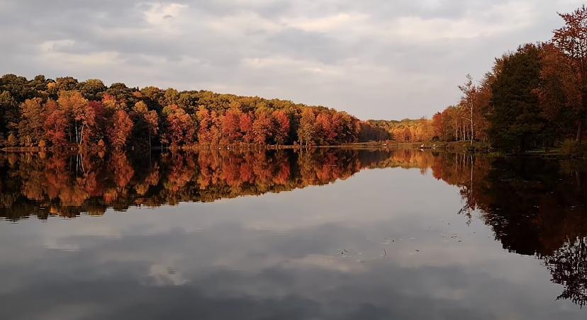 Lauren Raker and Henry Jones' Wedding Website