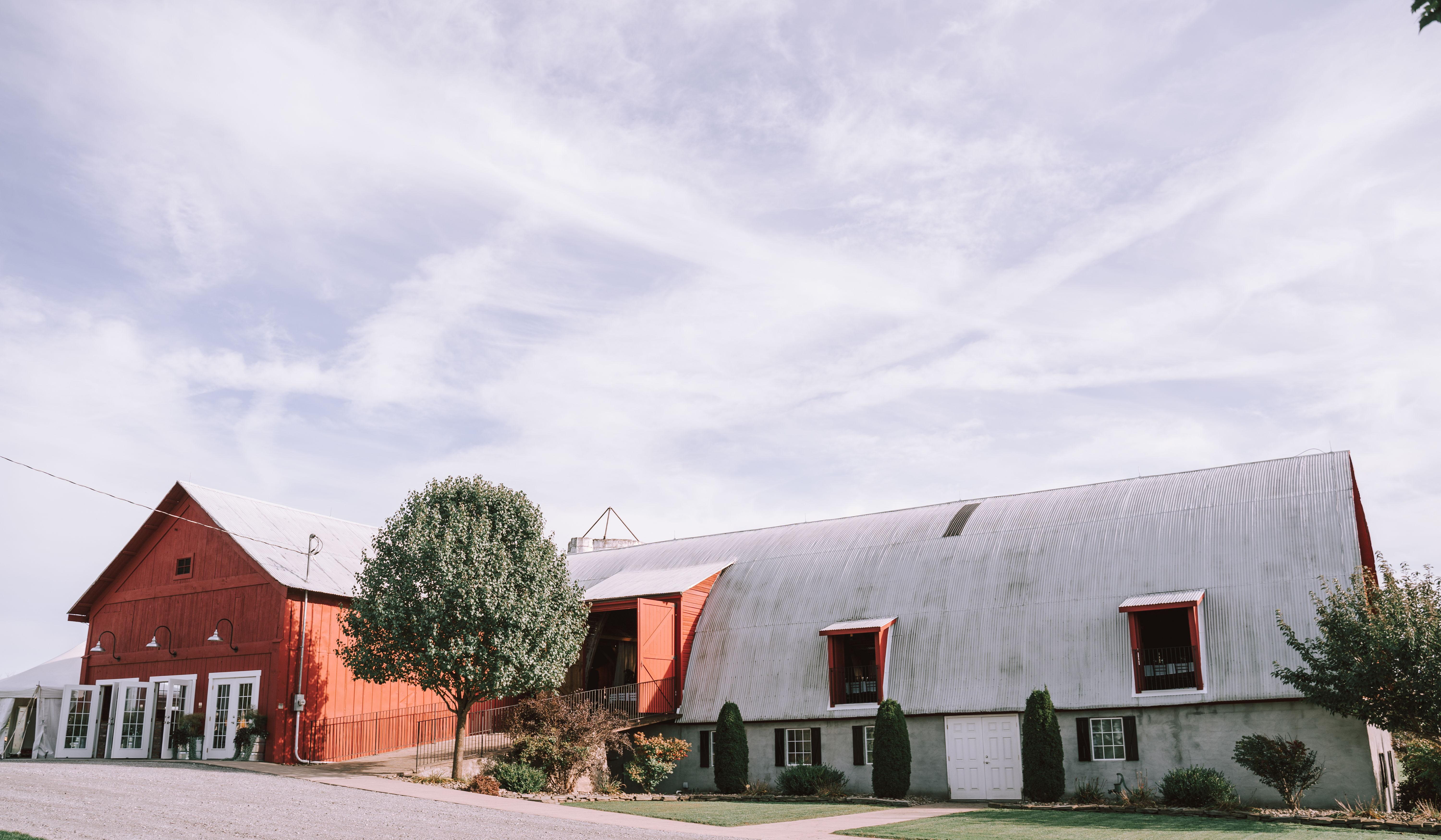 Matthew Stoudt and Alicia Franceschi's Wedding Website