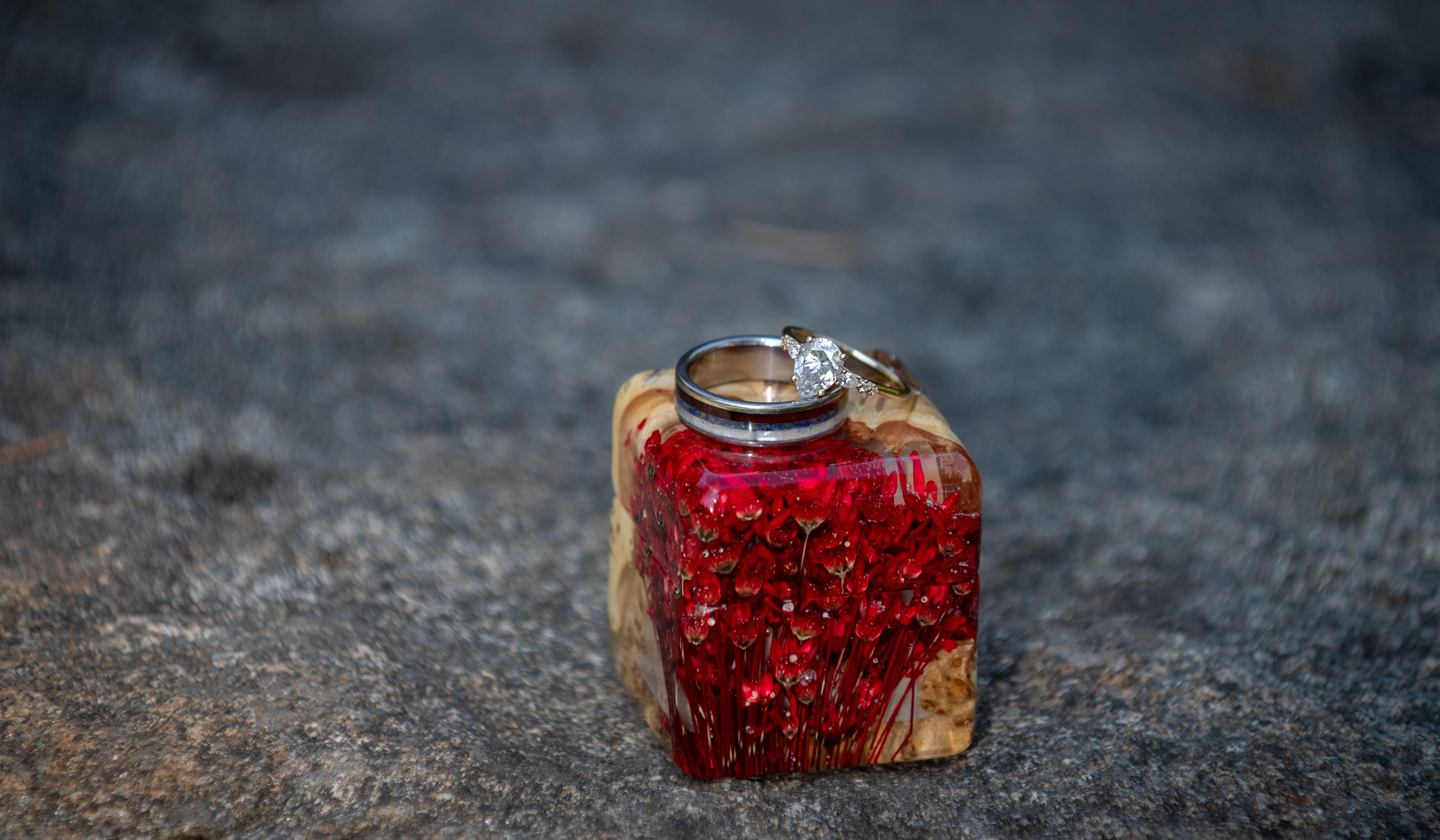 Isabel Hankel and Jacob Van Gent's Wedding Website