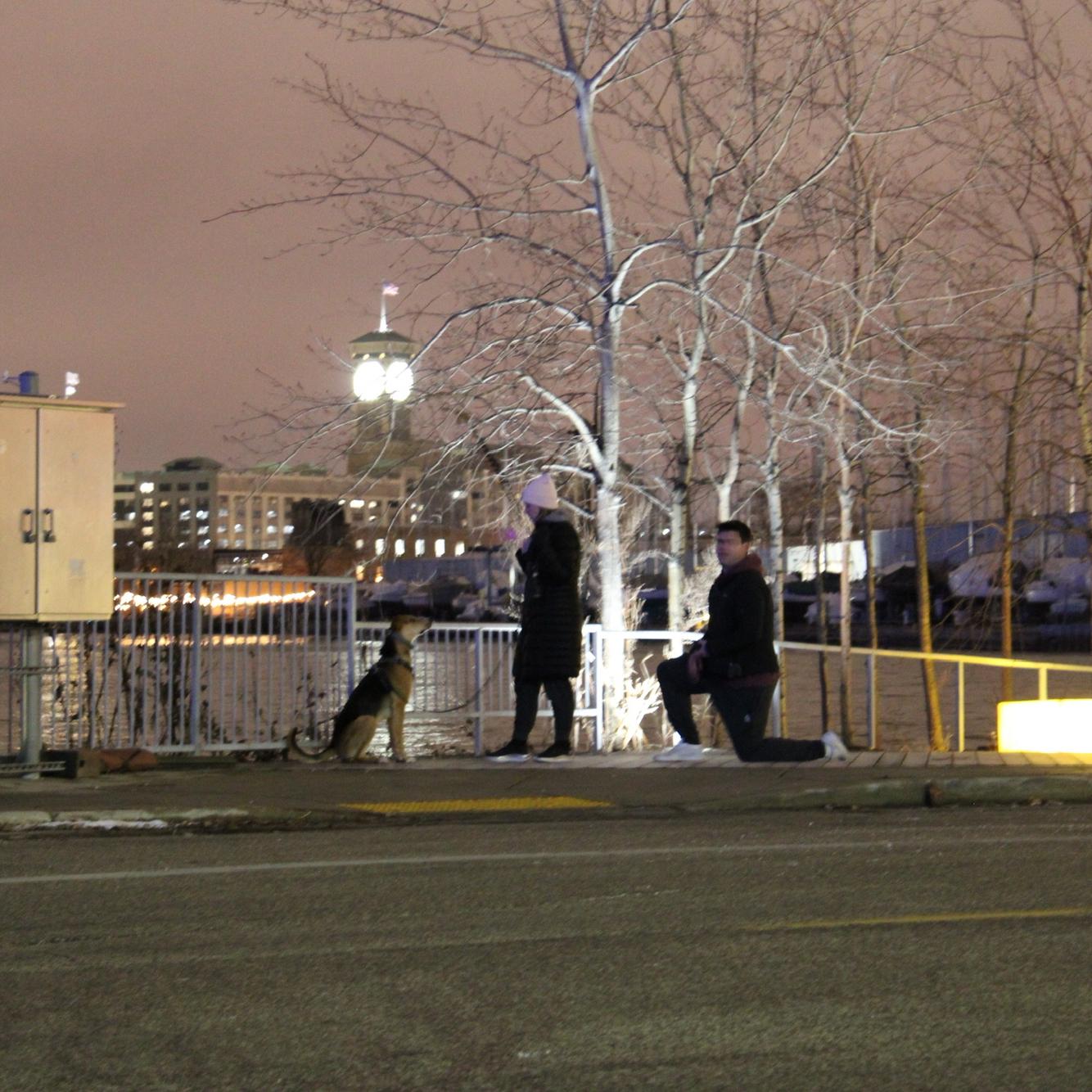 Stacy Frederick and Zack Braun's Wedding Website