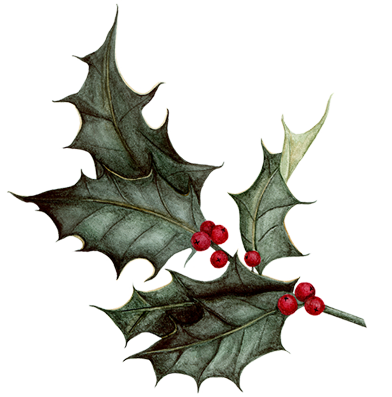 Alexandra Hildreth and Greyson Doscotch's Wedding Website